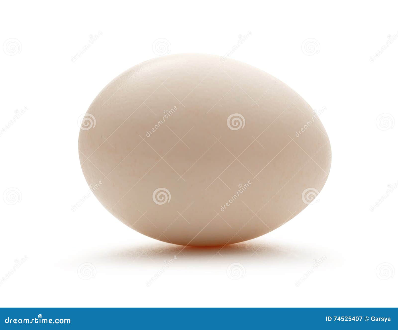One fresh egg stock image. Image of ingredient, object - 74525407