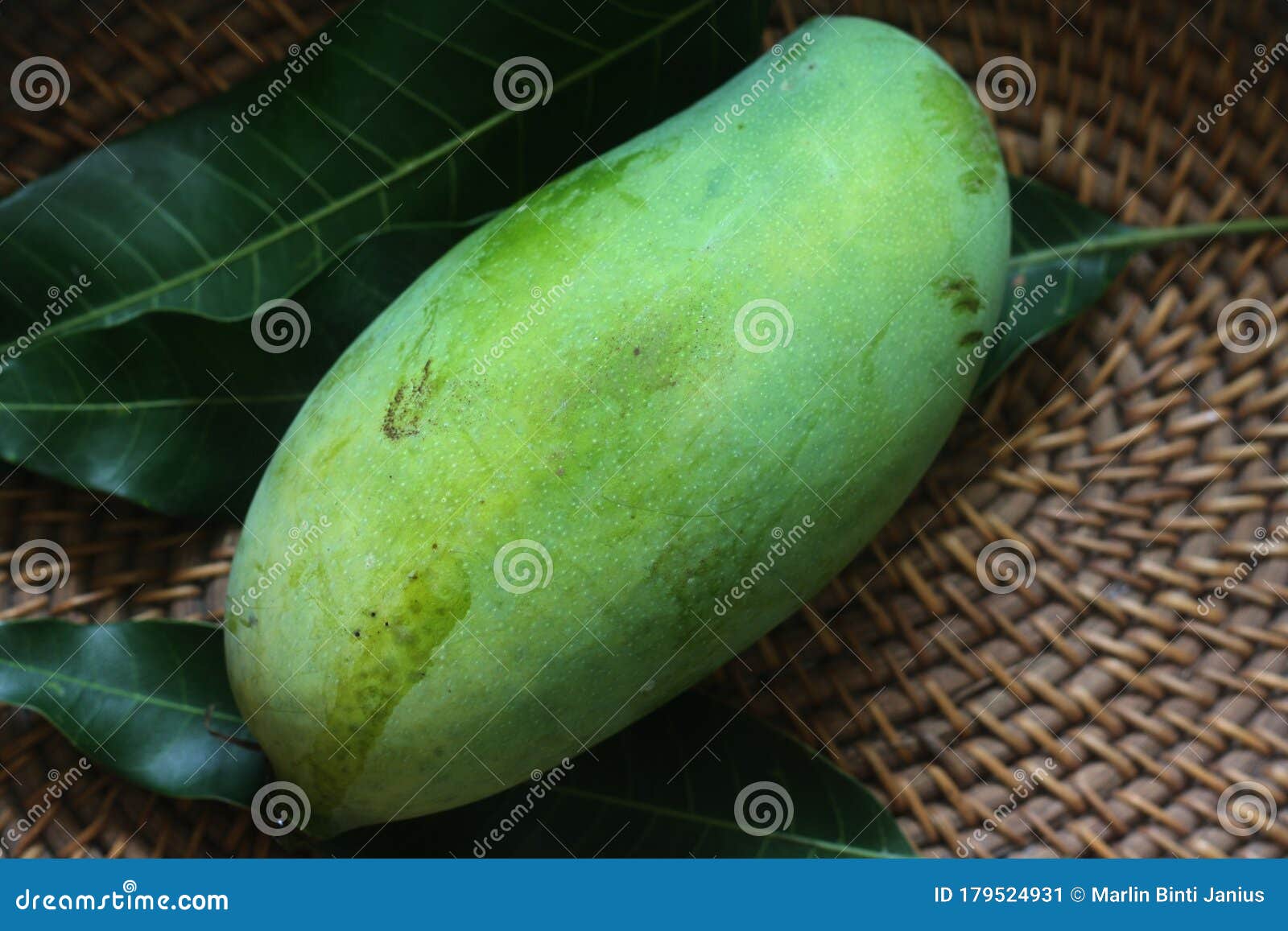 One fresh harvest mango stock image. Image of single - 179524931