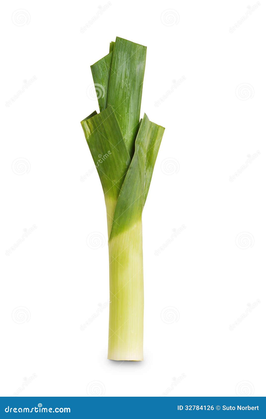 One Fresh Leek Royalty Free Stock Image - Image: 32784126