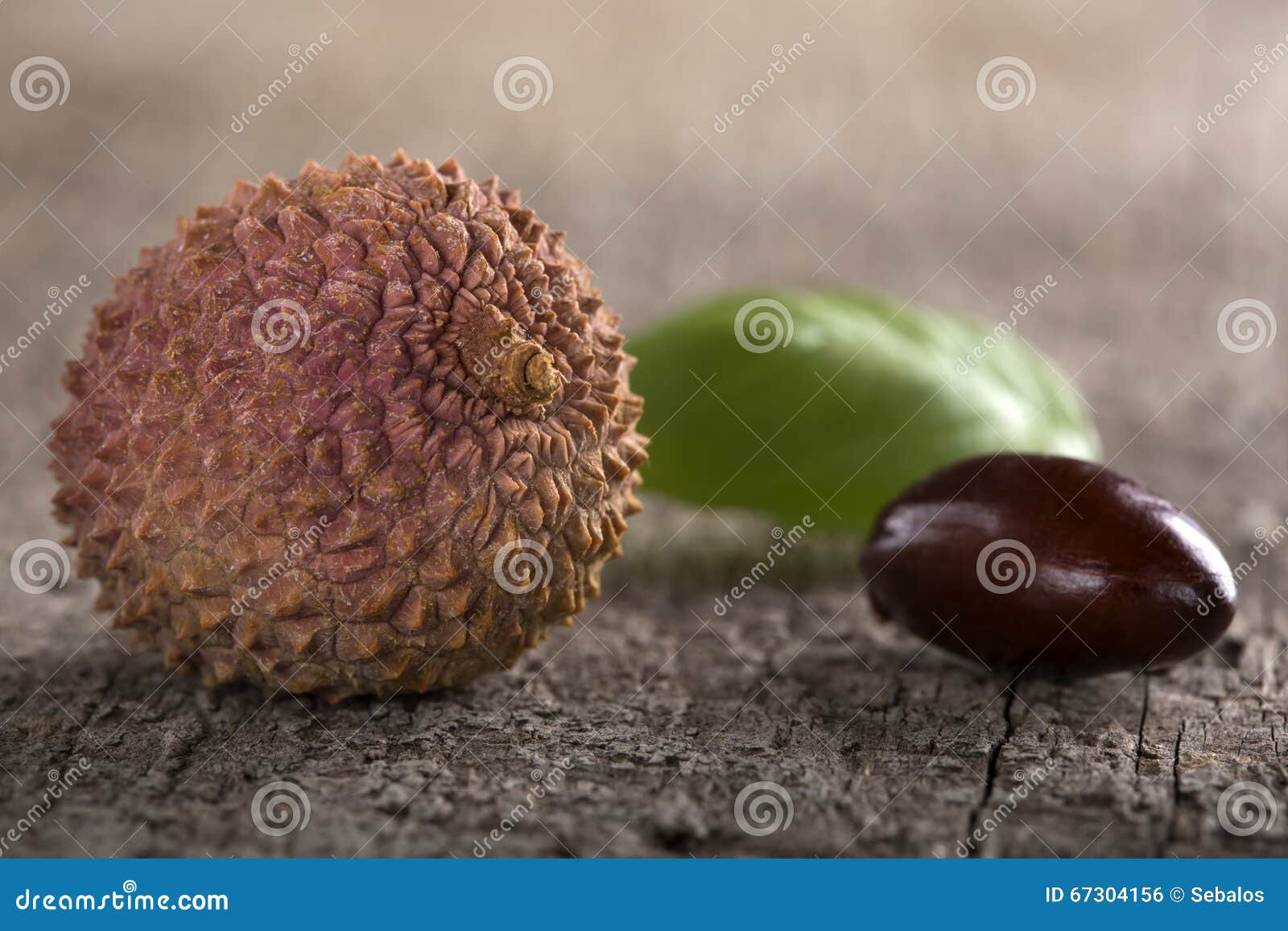 One fresh lychee stock photo. Image of healthy, health - 67304156