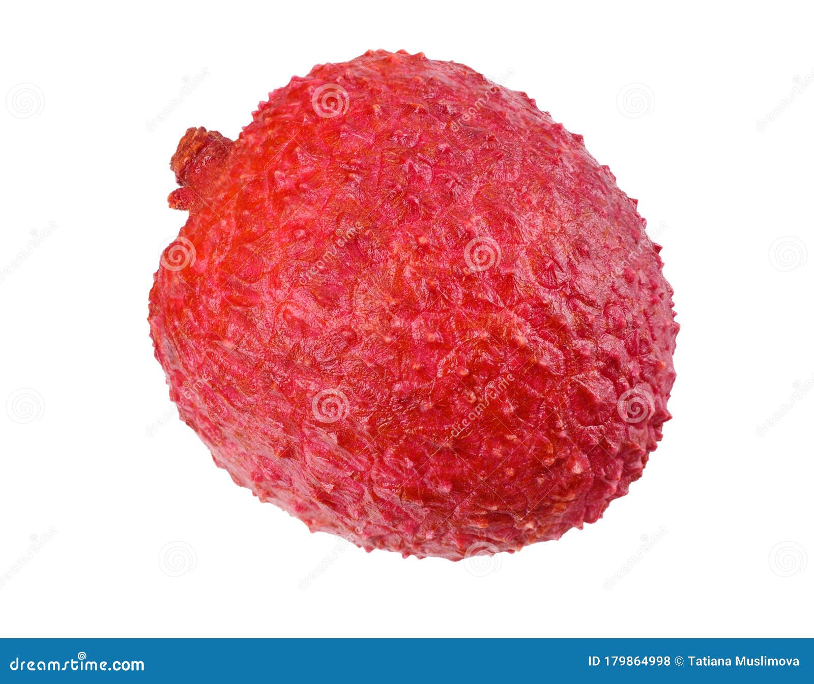 One Fresh Lychee Isolated on White Background. Macro Stock Photo ...