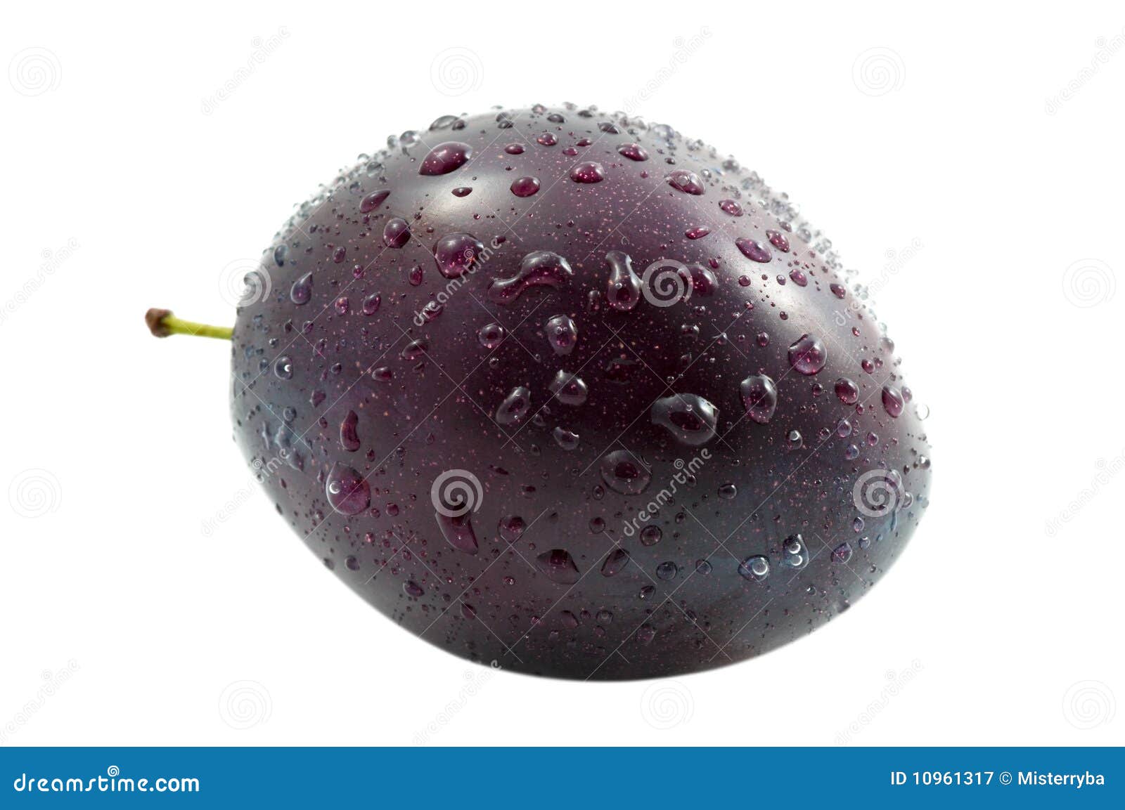 One Fresh Plum stock image. Image of food, water, fruit - 10961317