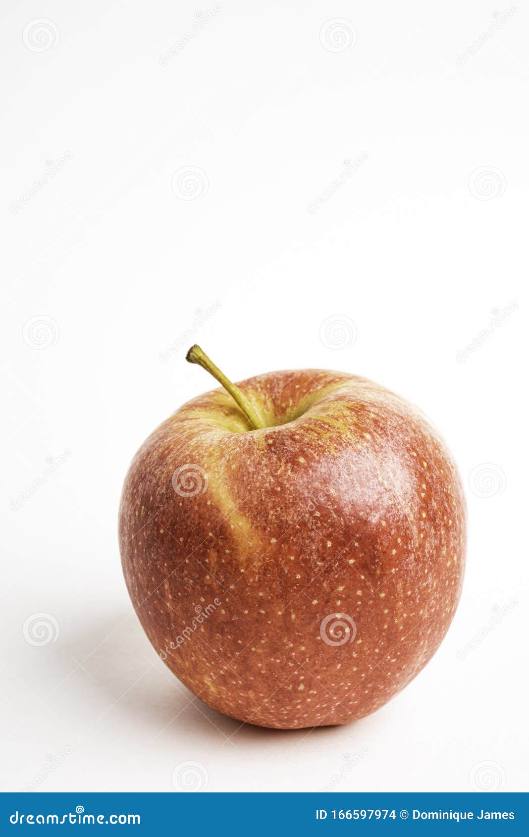 One Red Apple stock photo. Image of element, iconic - 166597974