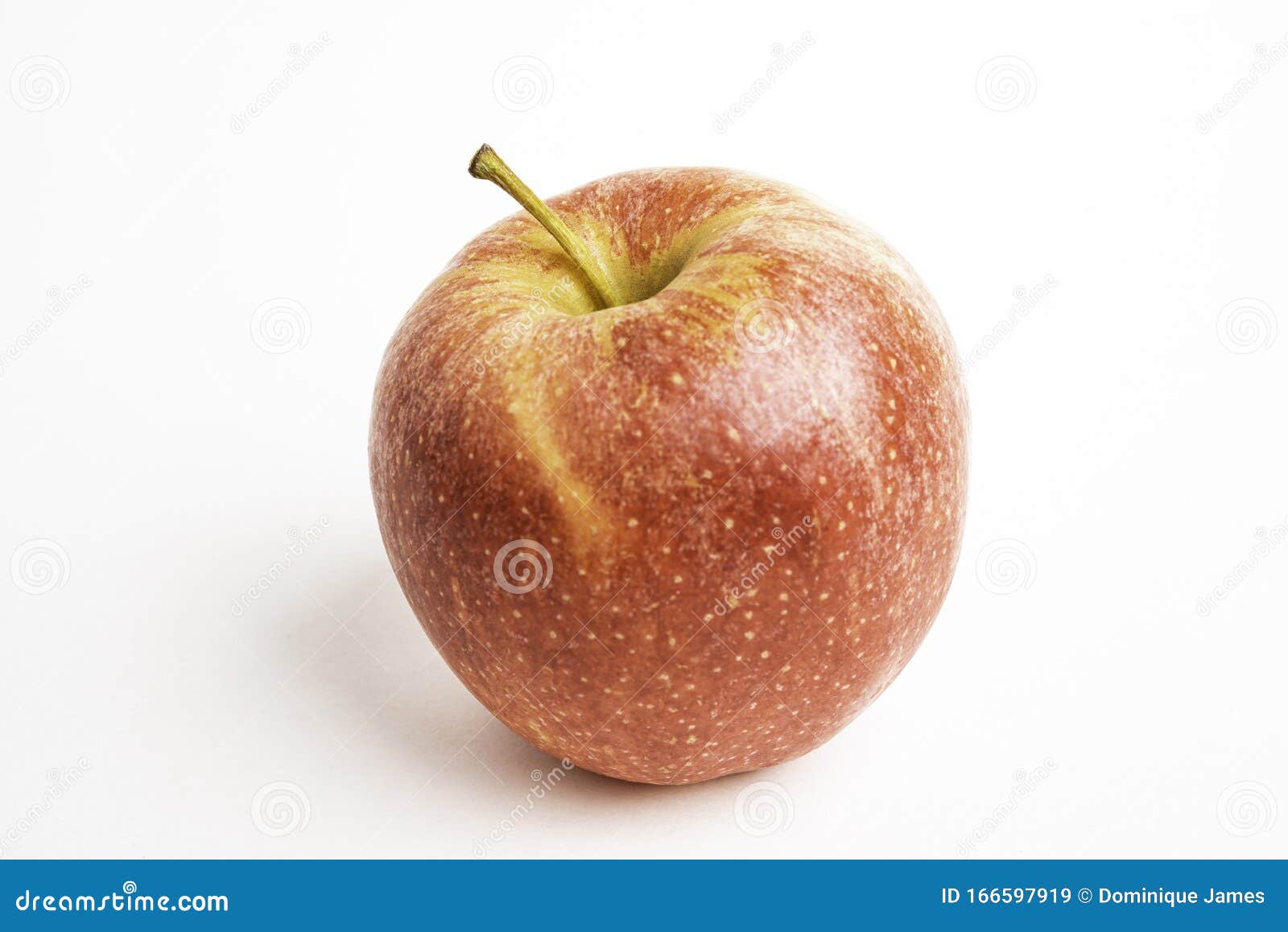 One Red Apple stock image. Image of graphic, edible - 166597919
