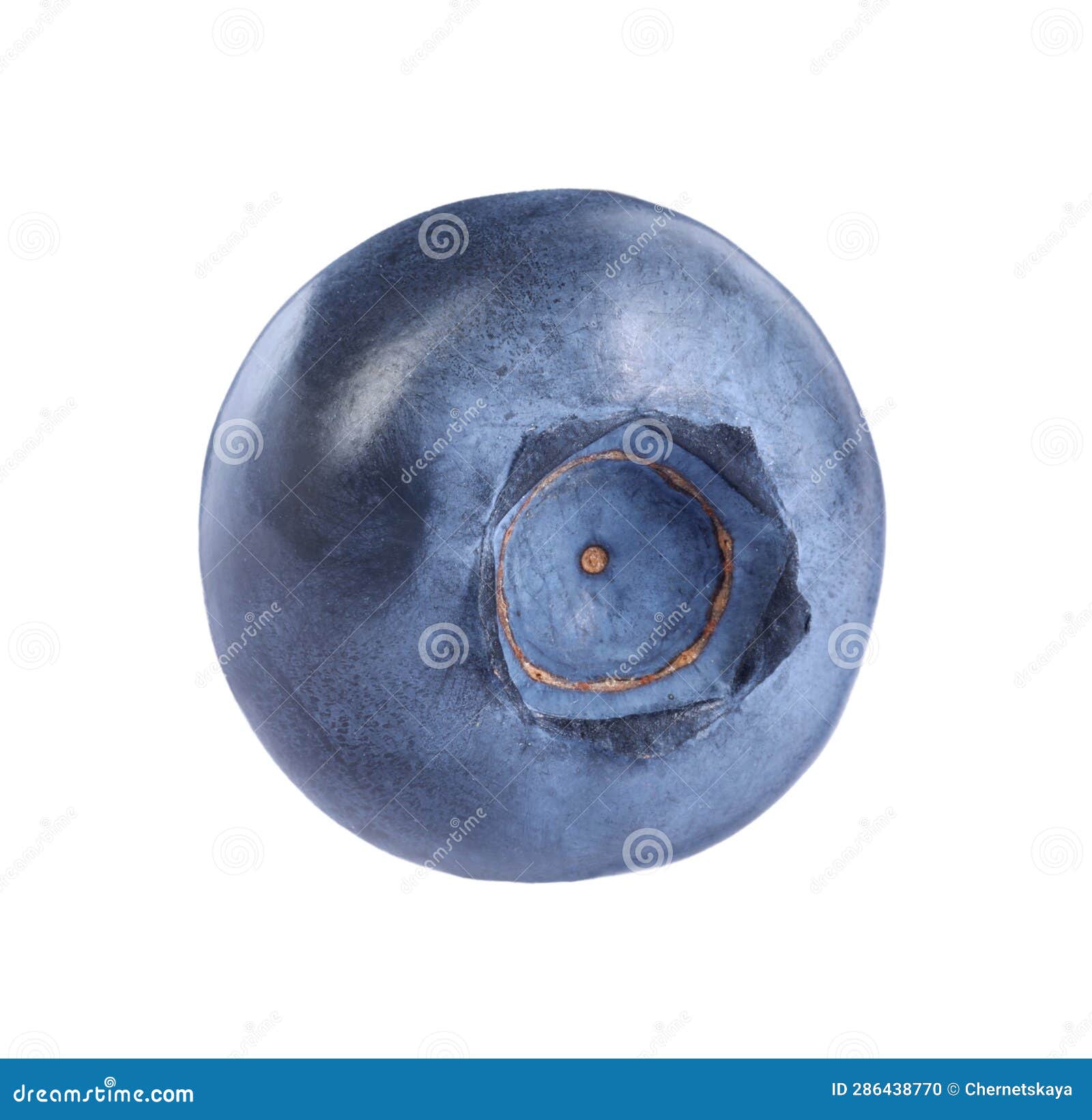 One Fresh Ripe Blueberry Isolated on White Stock Photo - Image of ...