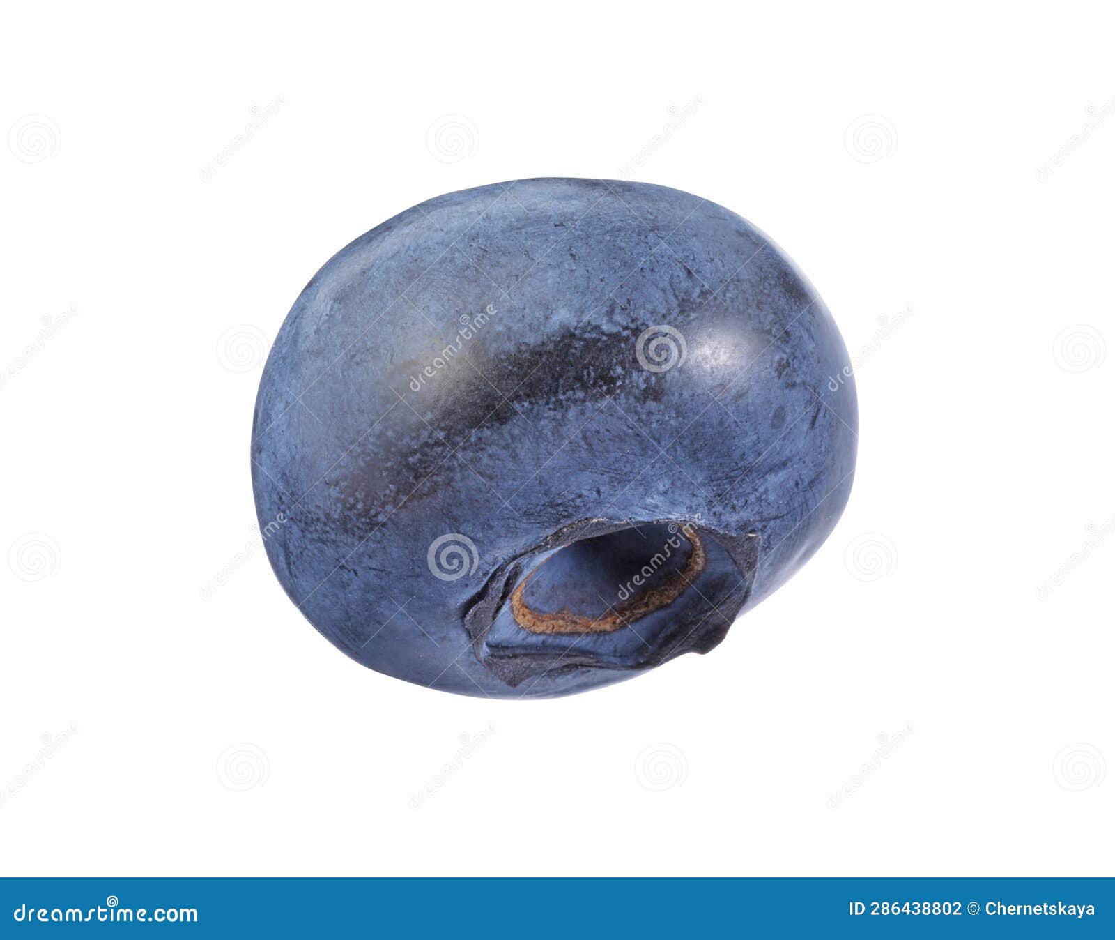 One Fresh Ripe Blueberry Isolated on White Stock Photo - Image of ...