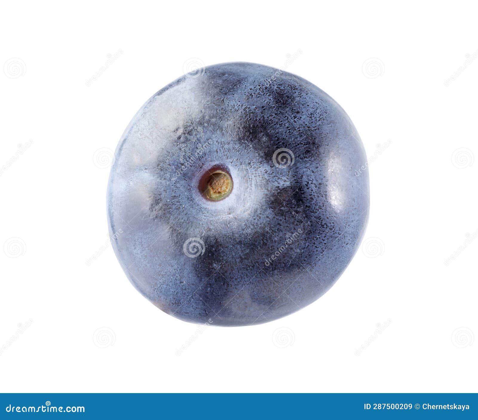 One Fresh Ripe Blueberry Isolated on White Stock Image - Image of ...