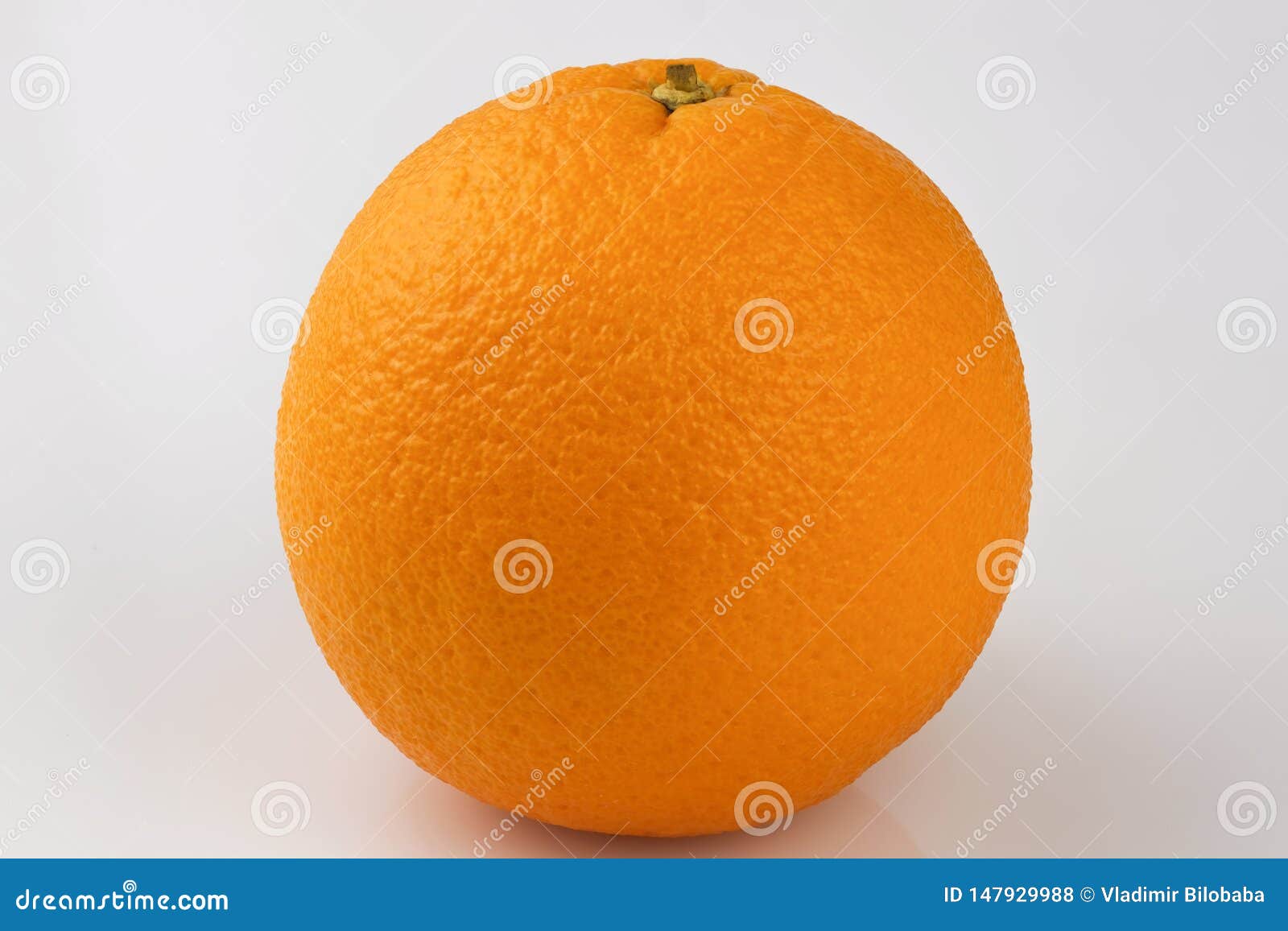 One fresh ripe orange stock photo. Image of juice, great - 147929988