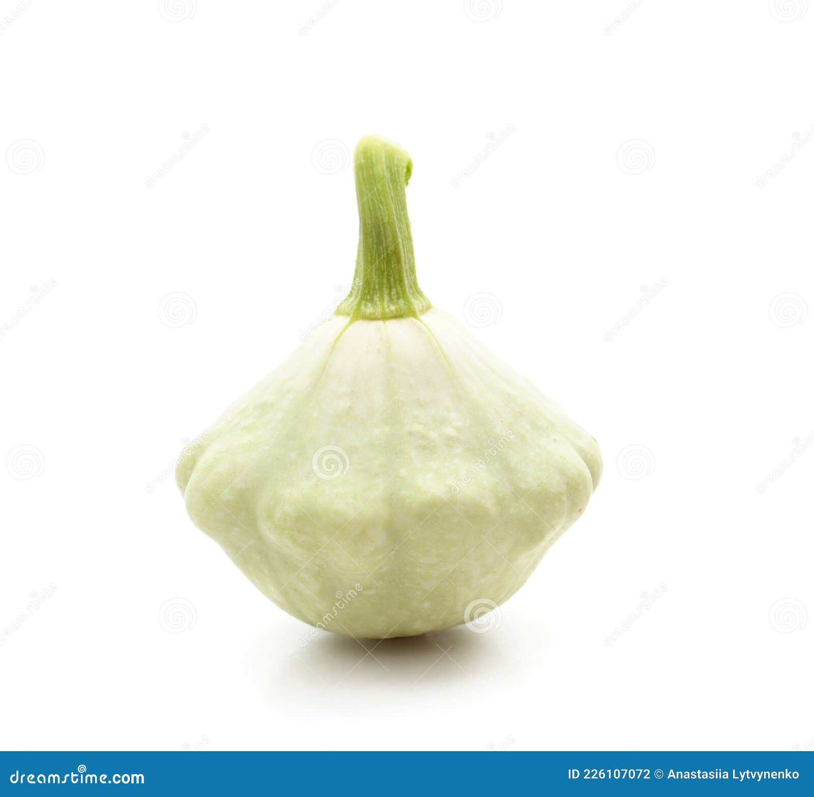 One fresh squash stock photo. Image of soil, field, isolated - 226107072