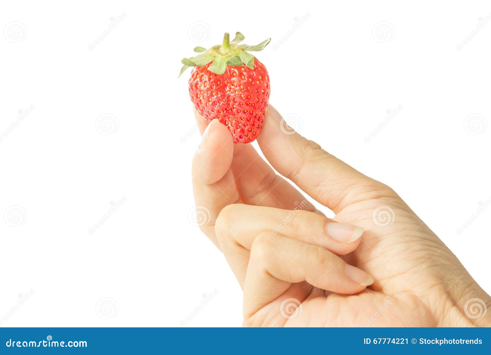 One Fresh Strawberries in Human Hand on White Background. Stock Image ...