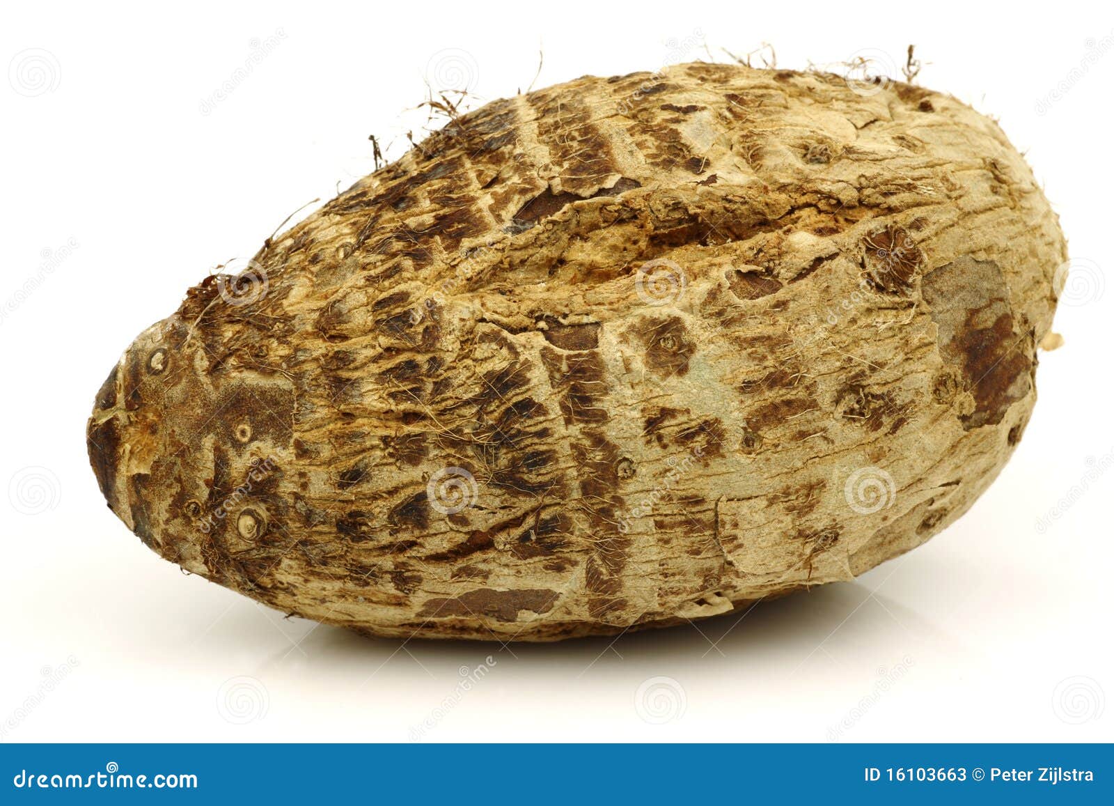 Fresh Taro. Taro Sliced In Half Cut. Isolated On White Background Stock ...