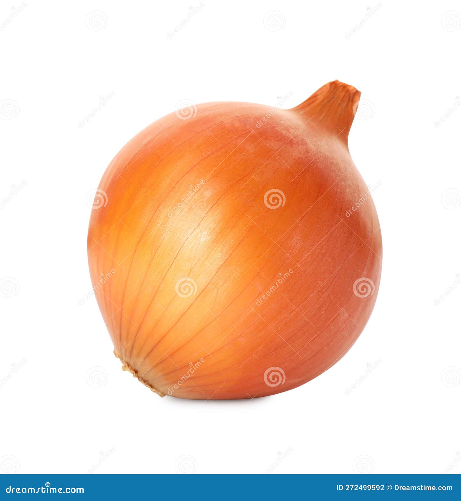 One Fresh Unpeeled Onion Isolated on White Stock Photo - Image of ...