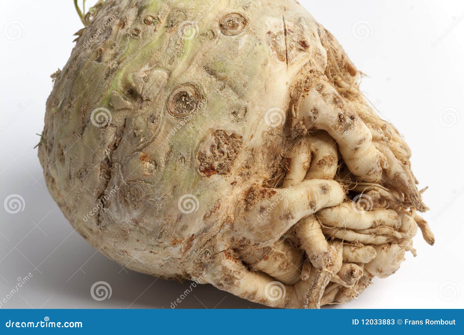 One Fresh Whole Celery Turnip Stock Image - Image of healthy, food ...