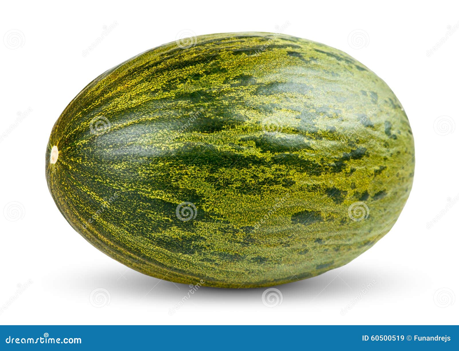 654 Sapo Melon Photos - Free & Royalty-Free Stock Photos from Dreamstime