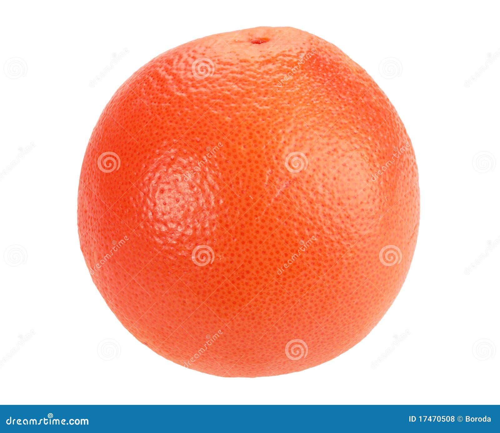 One full orange grapefruit stock photo. Image of food - 17470508