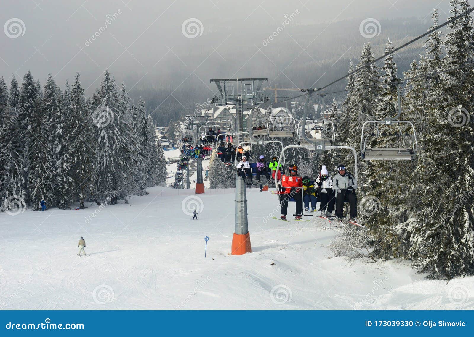 Funicular on a Mountain Trail Editorial Image - Image of tree, forest ...