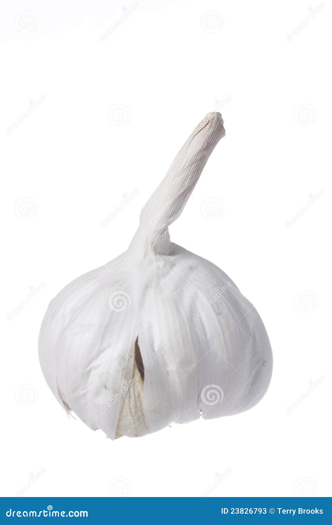 One Garlic on White Background. Stock Image - Image of bulb, flavorful ...