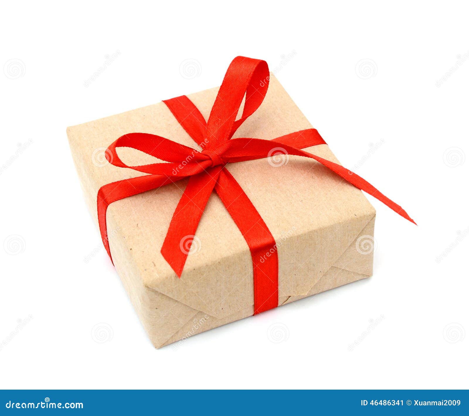 One Gift Christmas Box Wrapped with Kraft Paper and Red Bow Stock Image ...