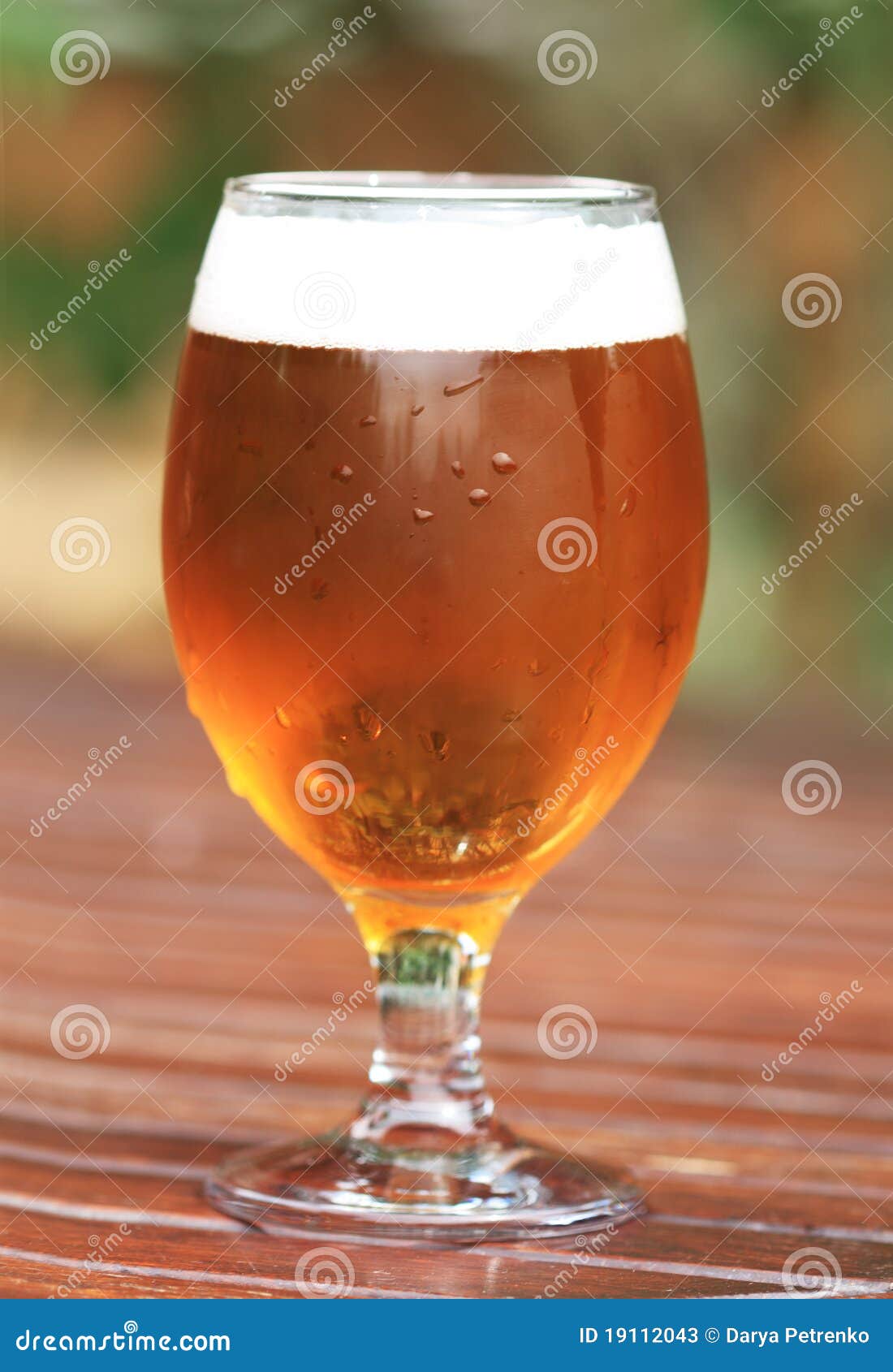 One Glass of the Light Beer Stock Image - Image of celebration, adult ...