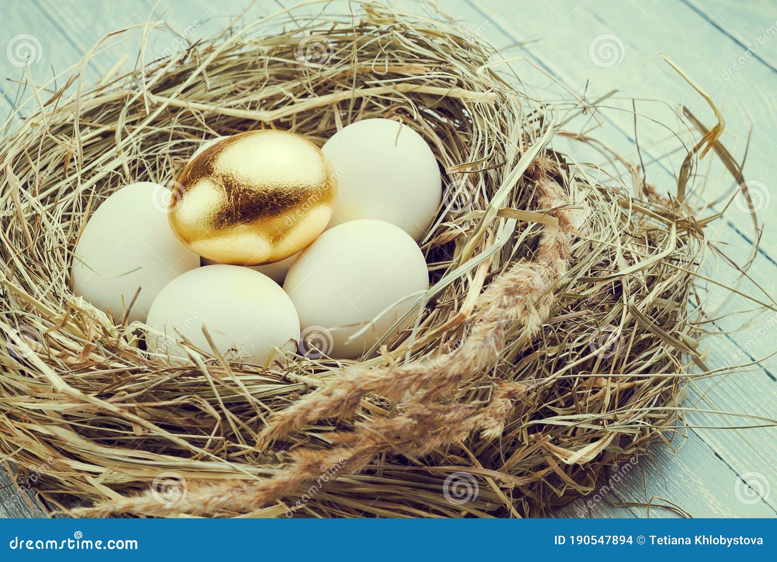 One Gold and Many Ordinary Eggs in the Hay Nest Stock Photo - Image of ...