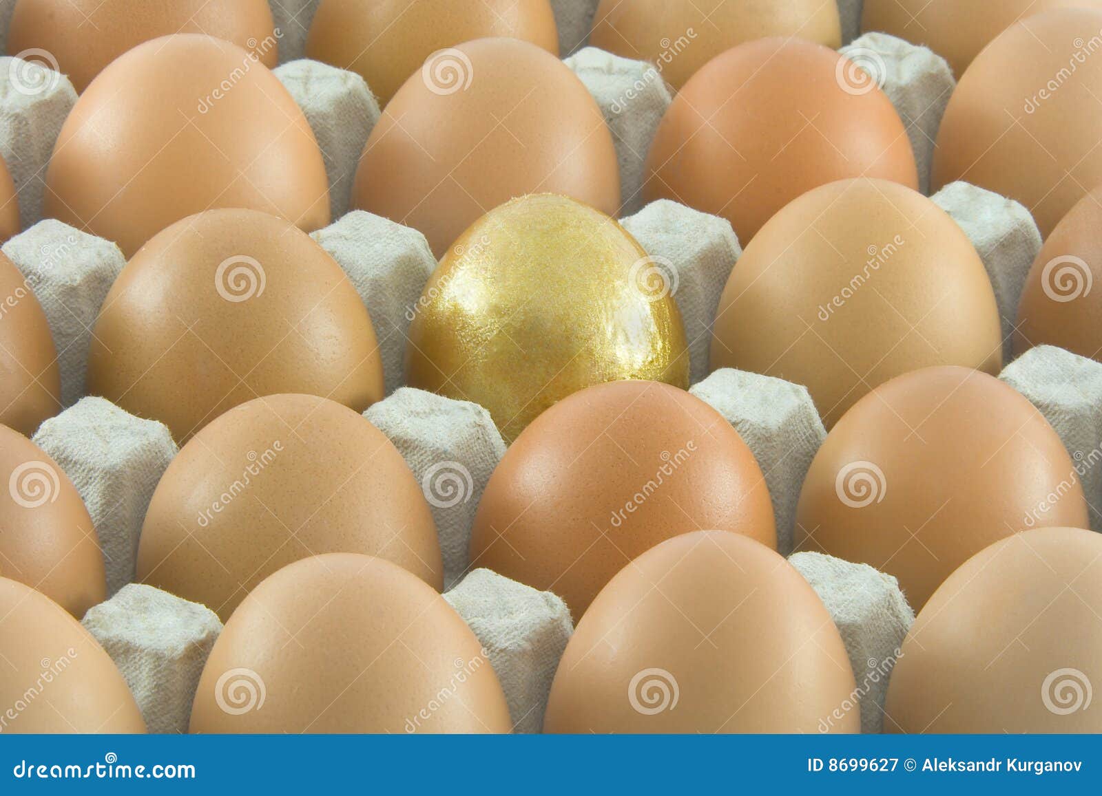 One Golden Egg with Many Ordinary Eggs Stock Image - Image of package ...