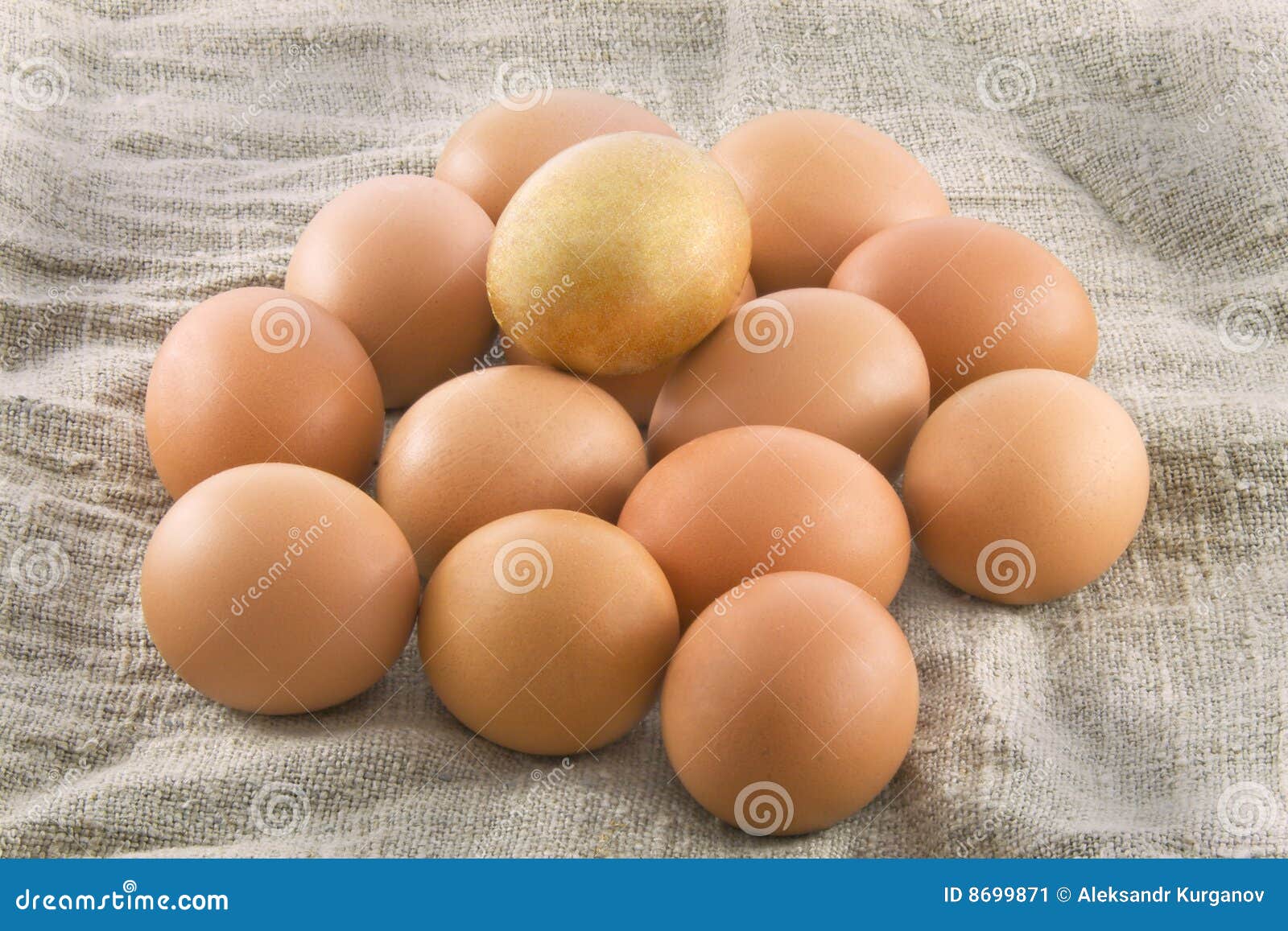 One Golden Egg with Many Ordinary Eggs Stock Image - Image of chicken ...