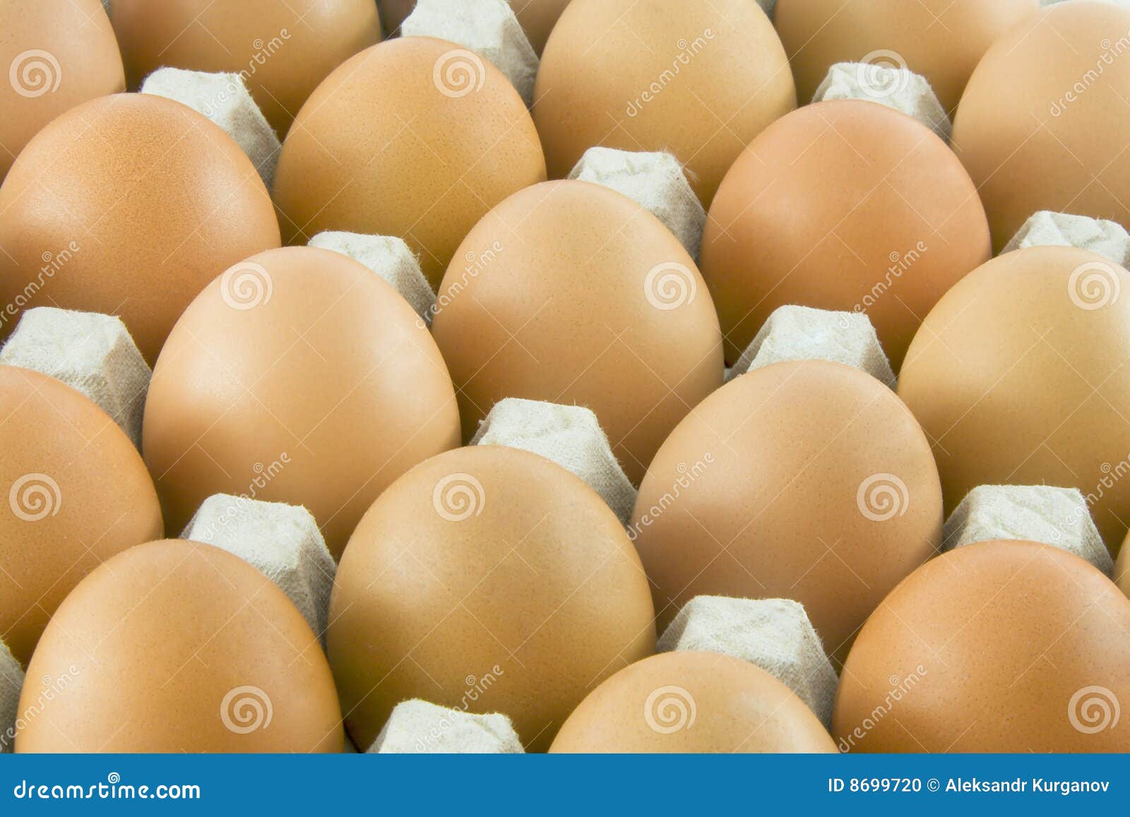 One Golden Egg with Many Ordinary Rural Eggs Stock Photo - Image of ...