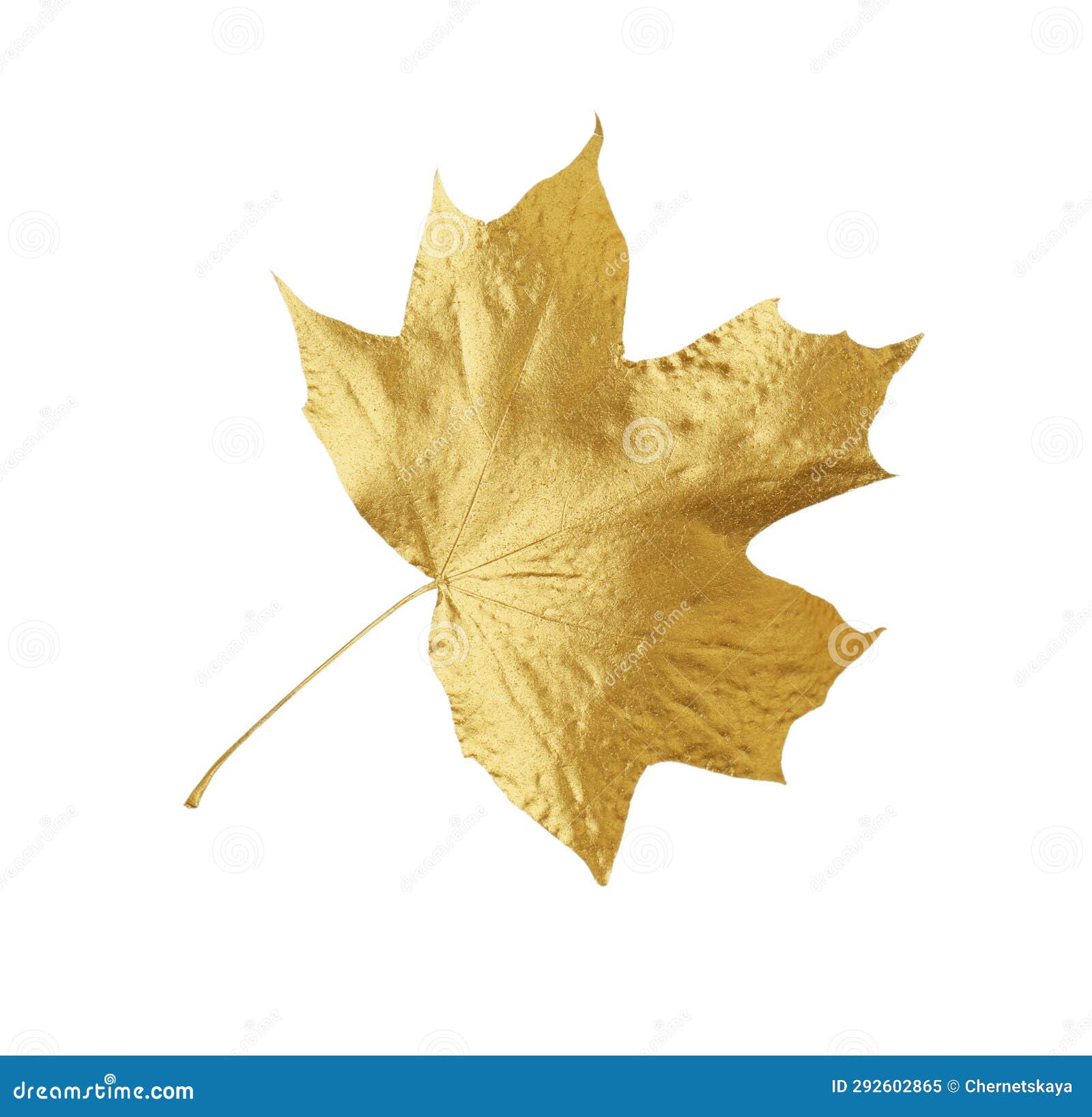 One Golden Maple Leaf Isolated on White. Autumn Season Stock Image ...