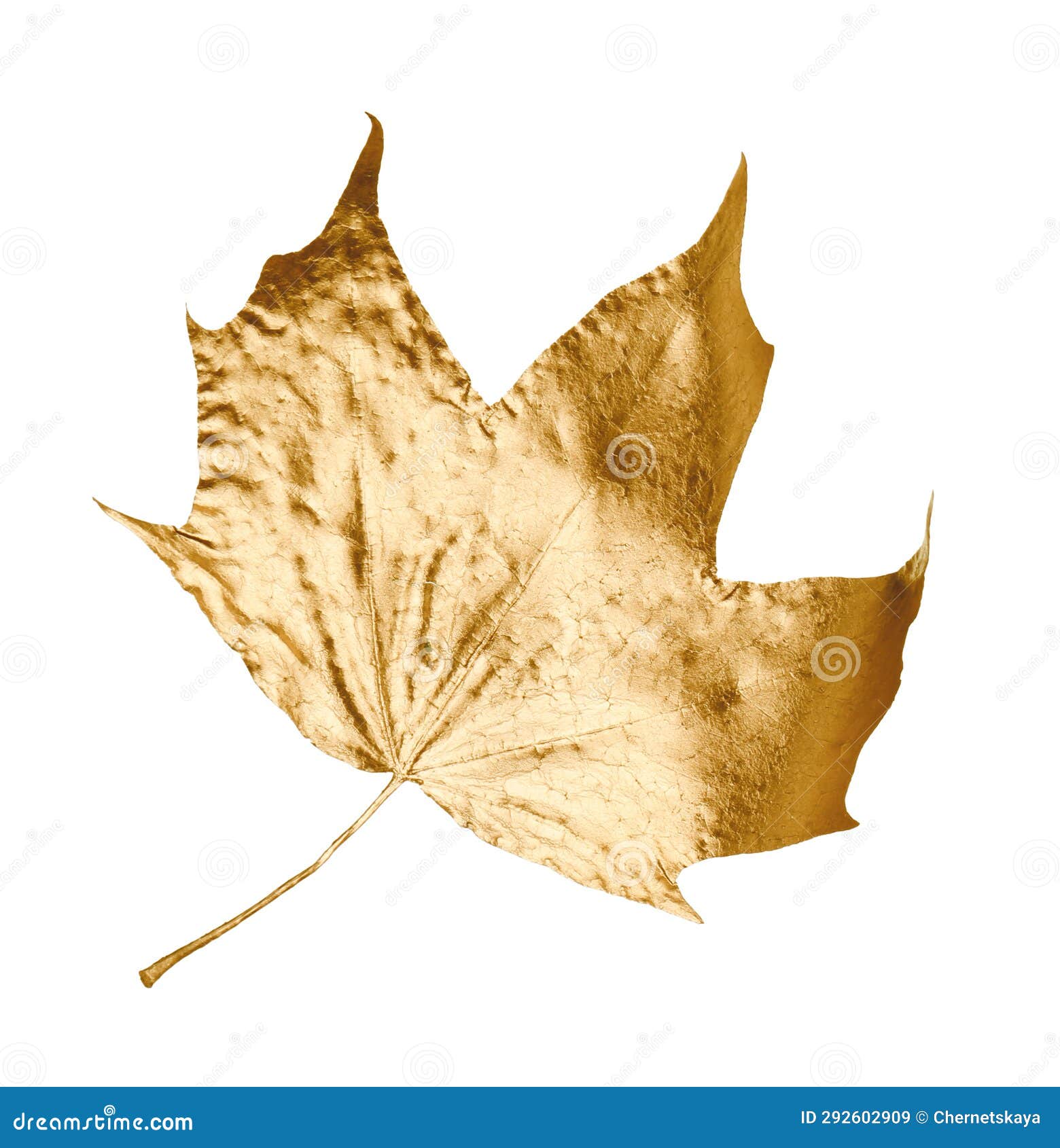 One Golden Maple Leaf Isolated on White. Autumn Season Stock Image ...