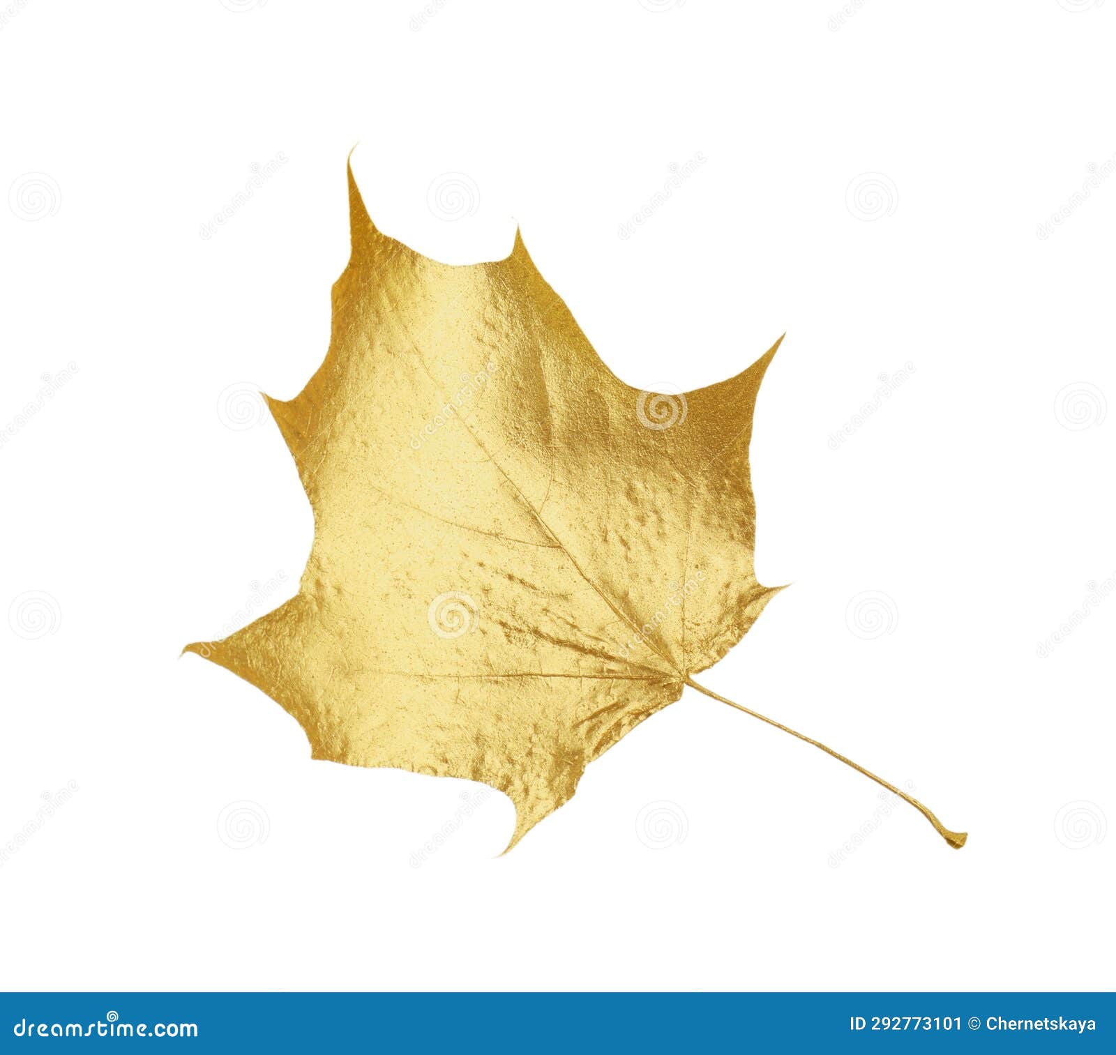 One Golden Maple Leaf Isolated on White. Autumn Season Stock Image ...