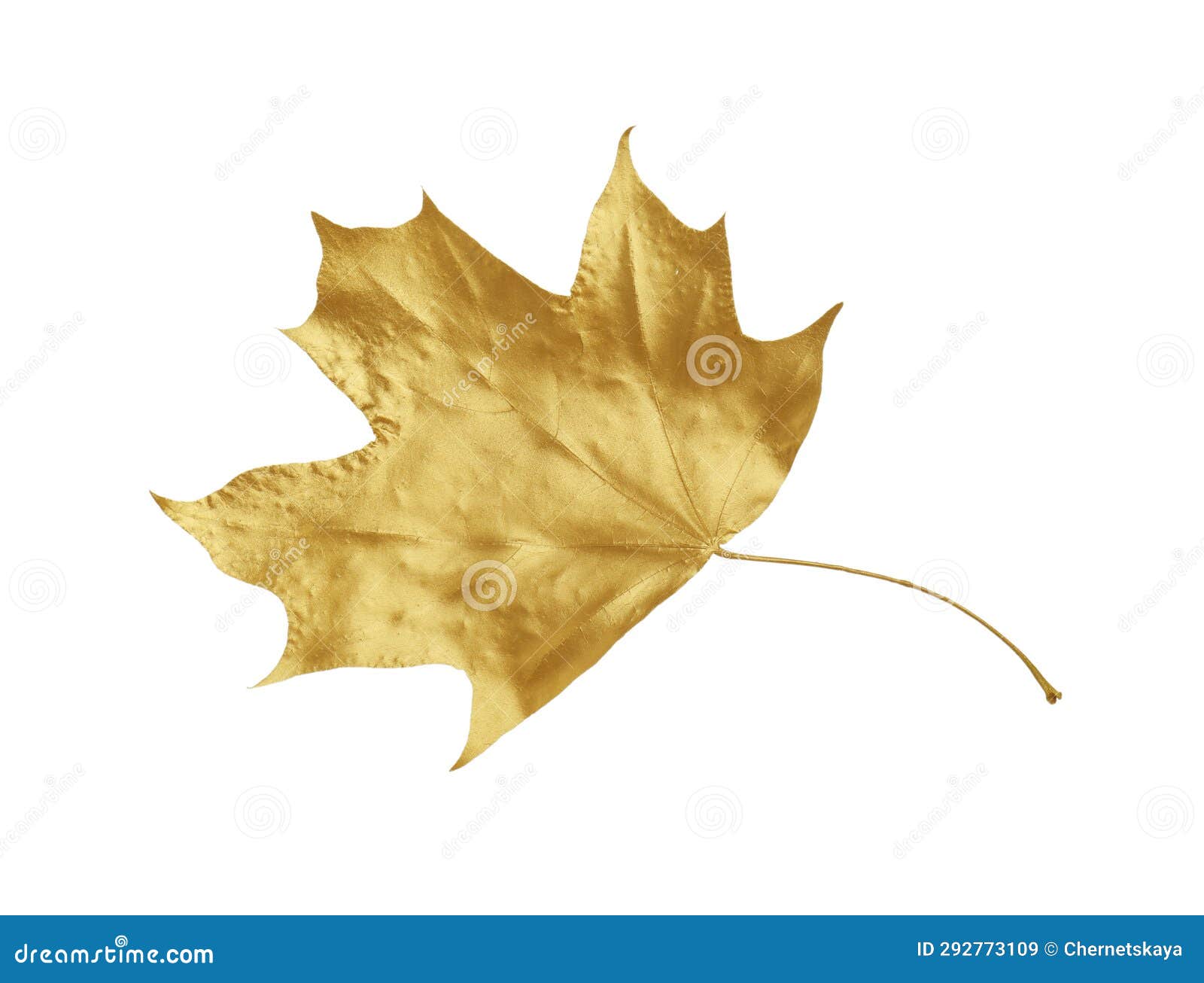 One Golden Maple Leaf Isolated on White. Autumn Season Stock Image ...
