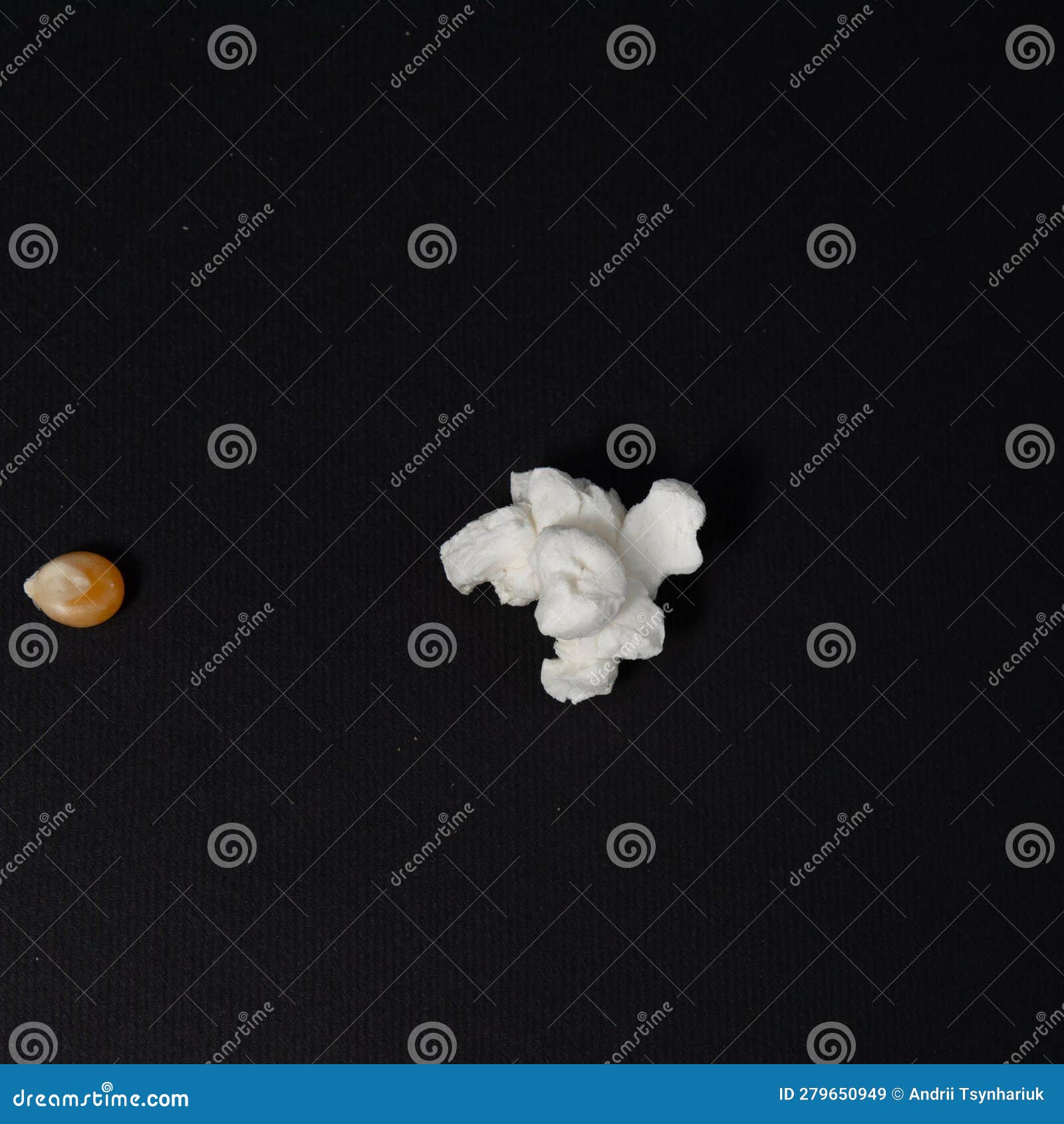 One Grain of Corn and One Popcorn on a Black Background Stock Image ...