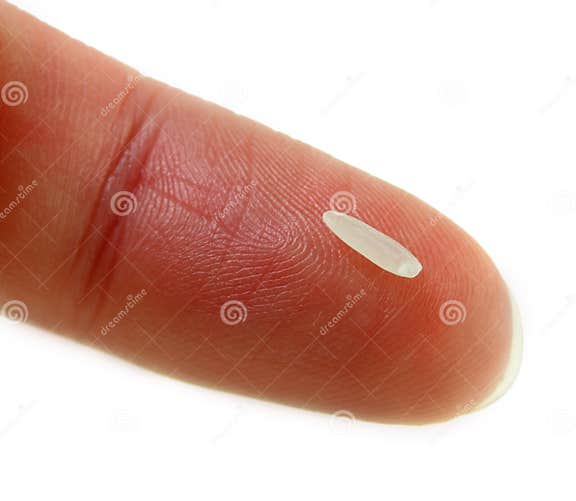 One grain of rice stock image. Image of shortage, fingers - 5065719