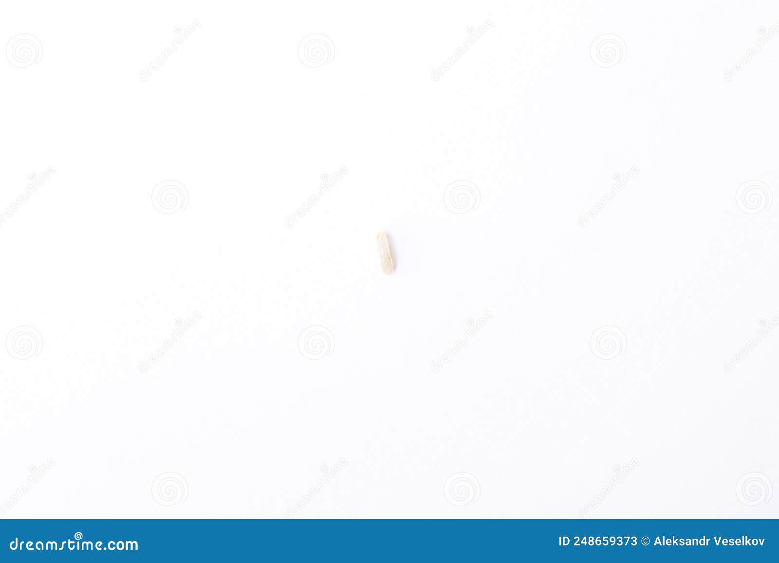 One Grain of Small White Rice in the Middle of Light White Background ...