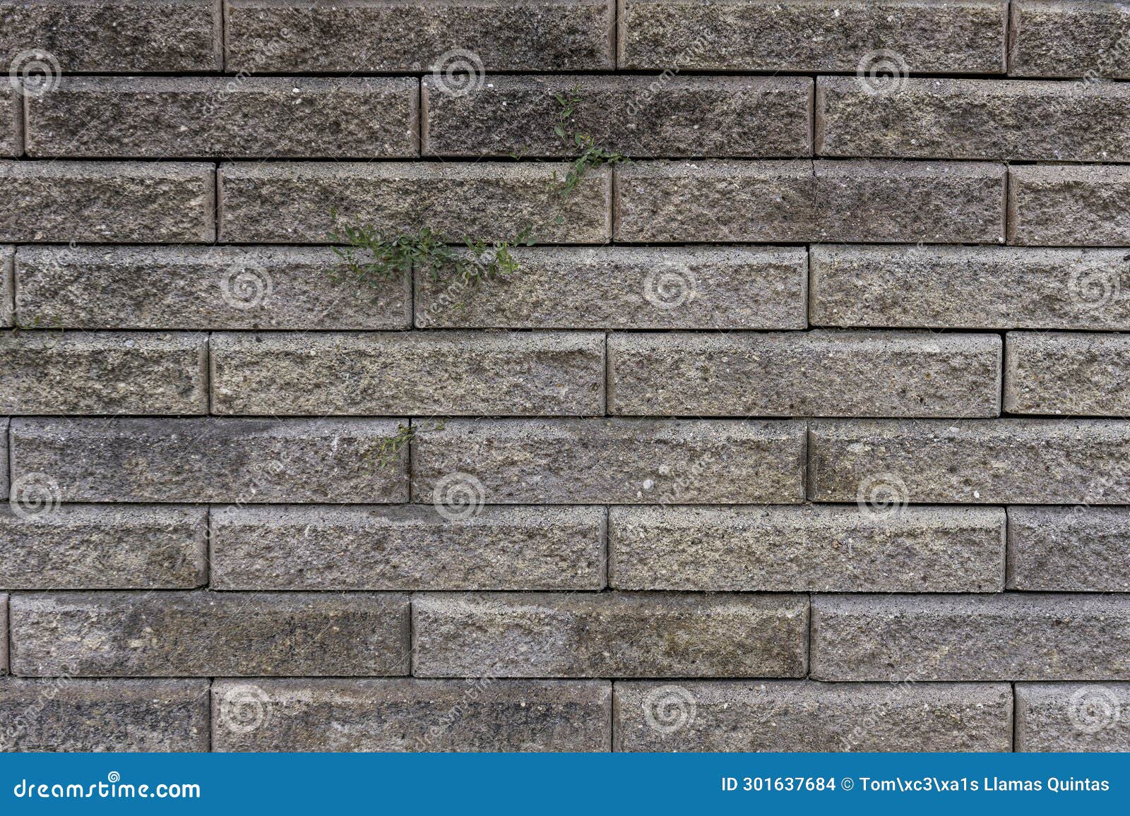 One of Gray Concrete Bricks. Vector Cement Texture Background Stock ...