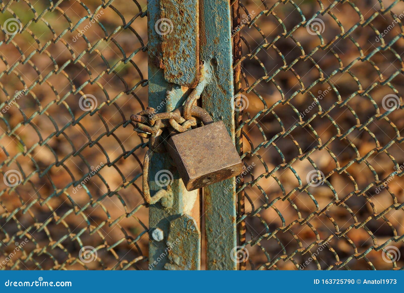 Gray Padlock on an Iron Gate with a Metal Mesh Stock Photo - Image of ...