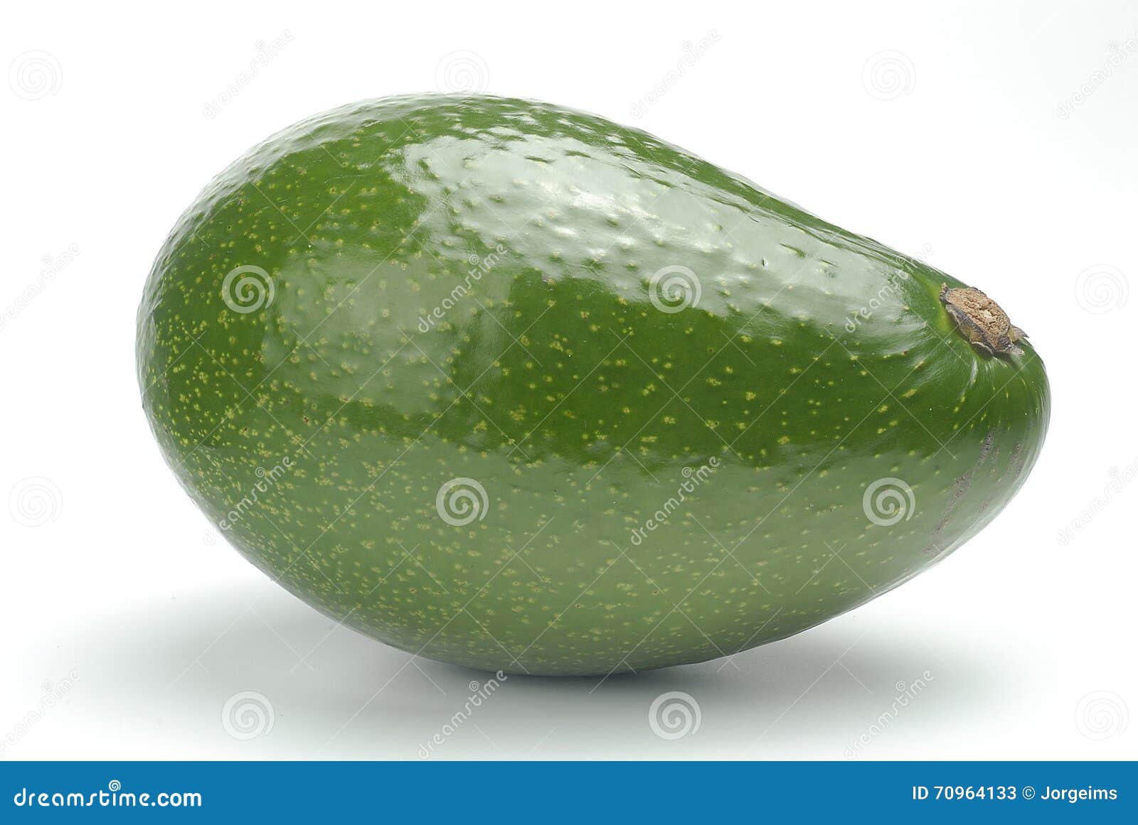 One green avocado stock image. Image of fruit, avocado - 70964133