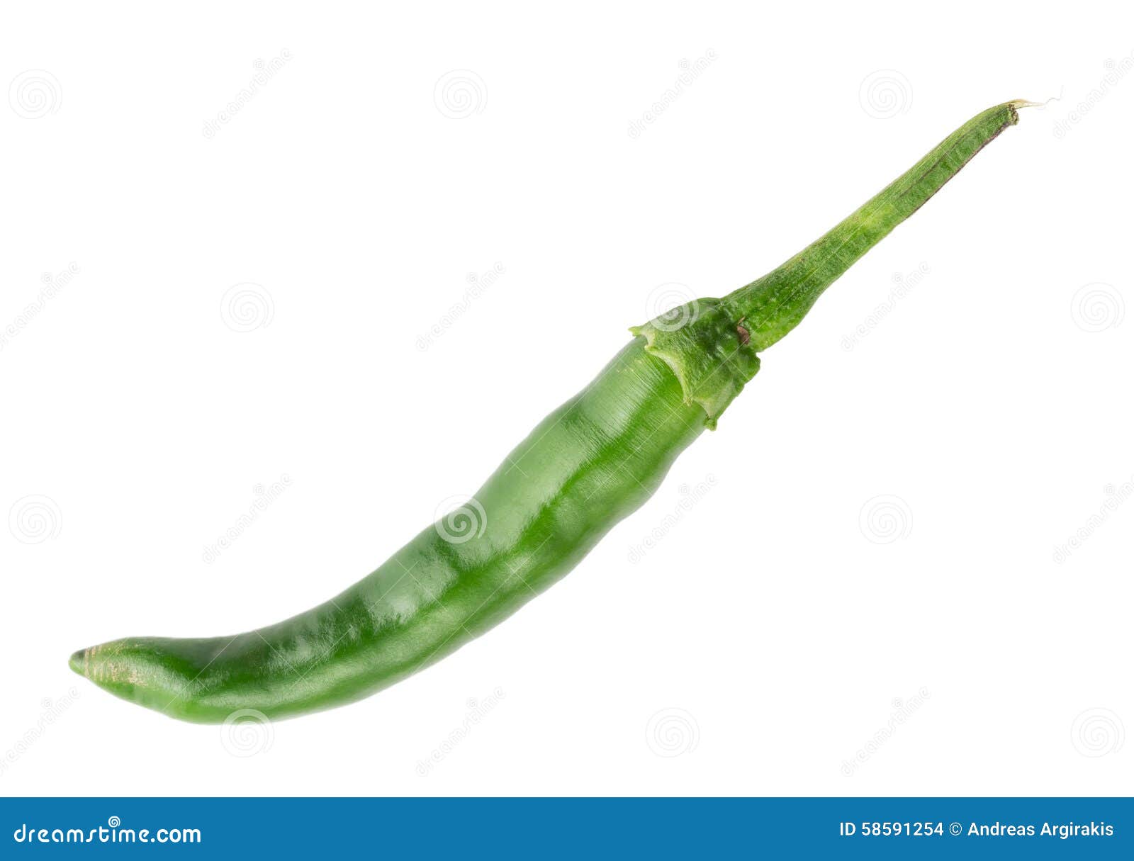 One green chili pepper stock photo. Image of close, jalapeno - 58591254