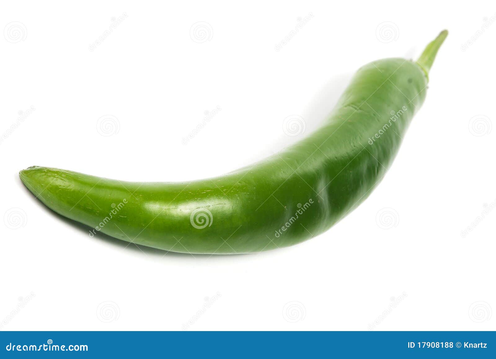 One green chilly pepper stock photo. Image of focus, cooking - 17908188