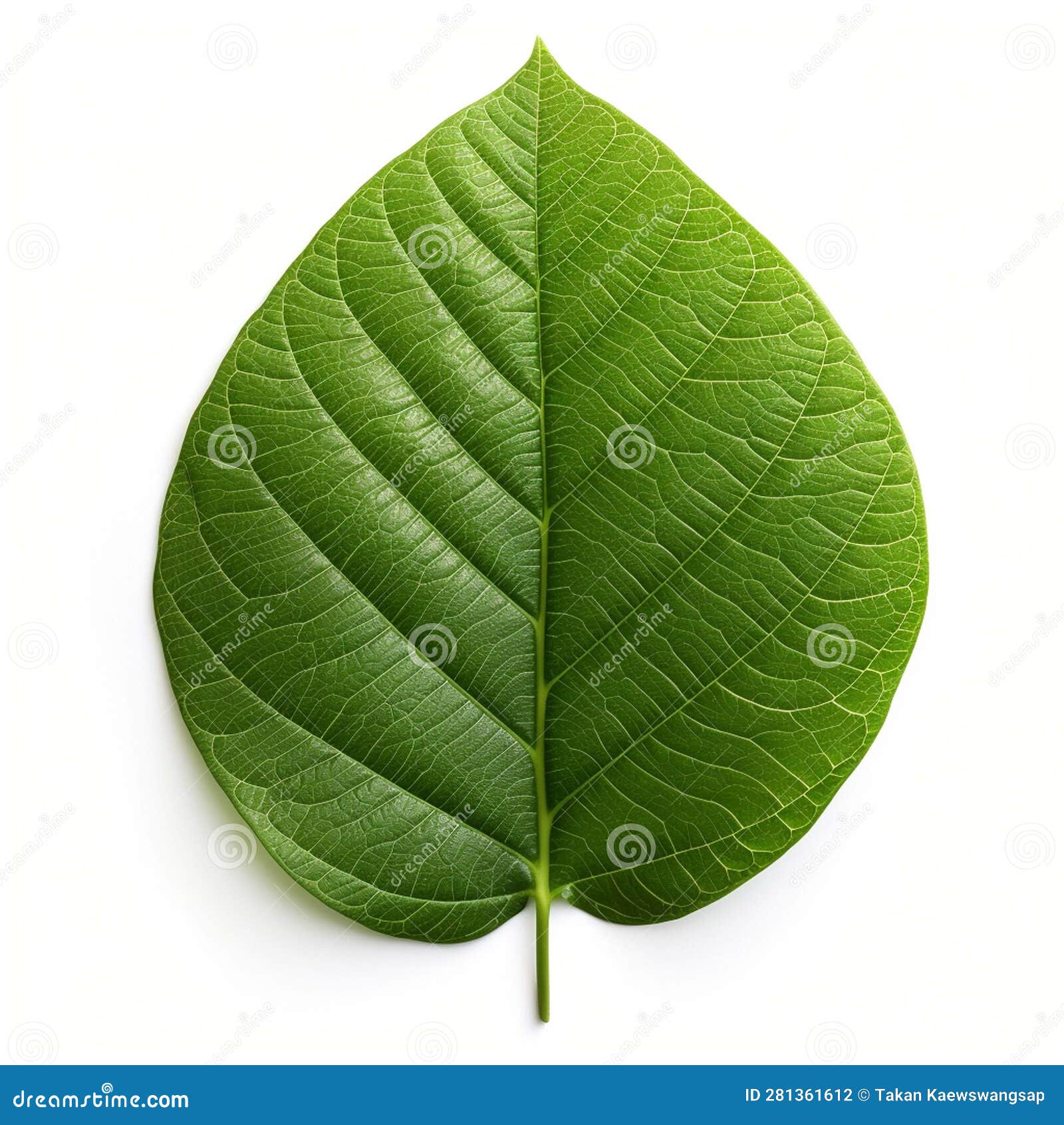 One Green Leaf Isolate ,white Background - Generative Ai Illustration ...