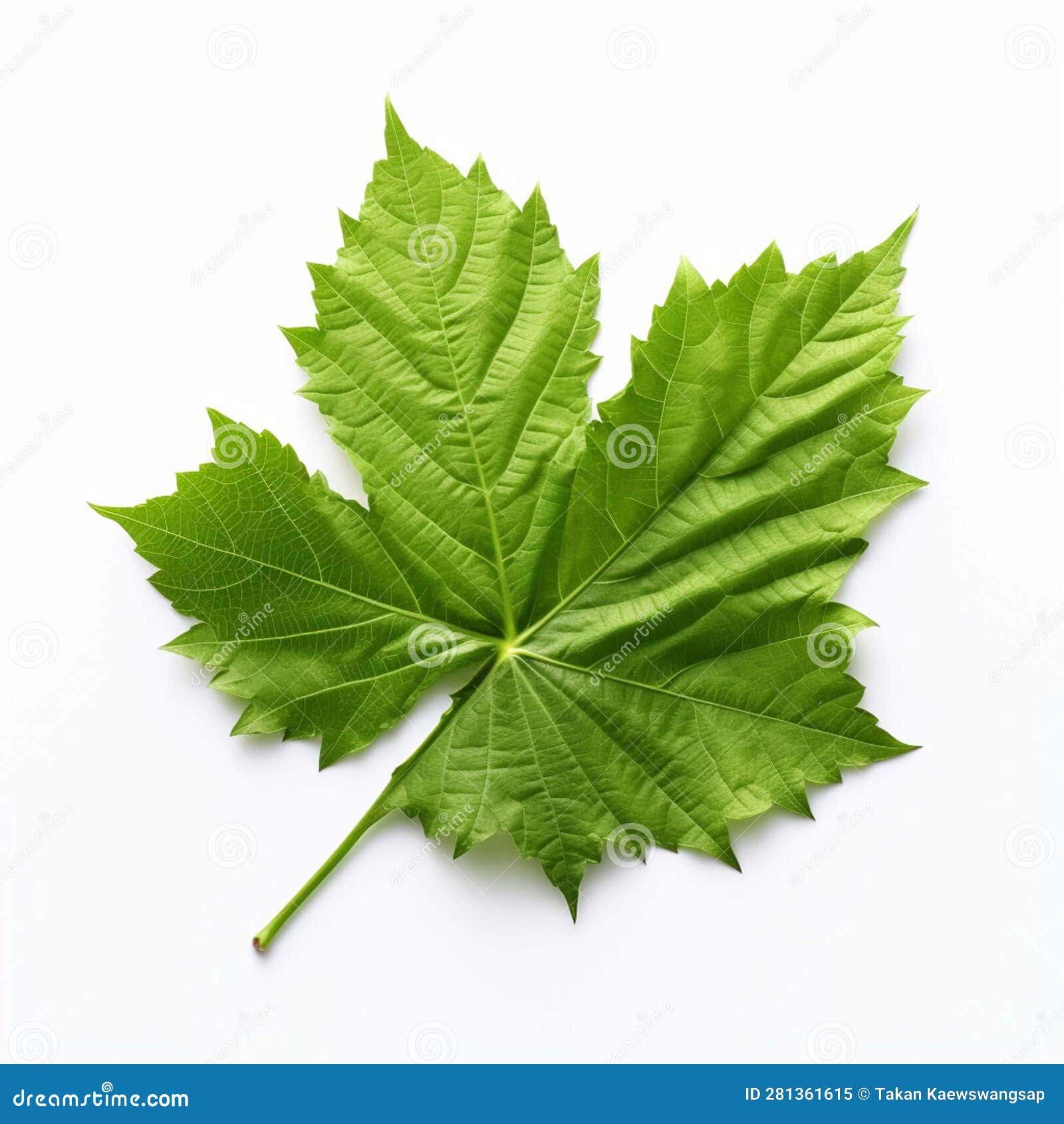 One Green Leaf Isolate ,white Background - Generative Ai Illustration ...