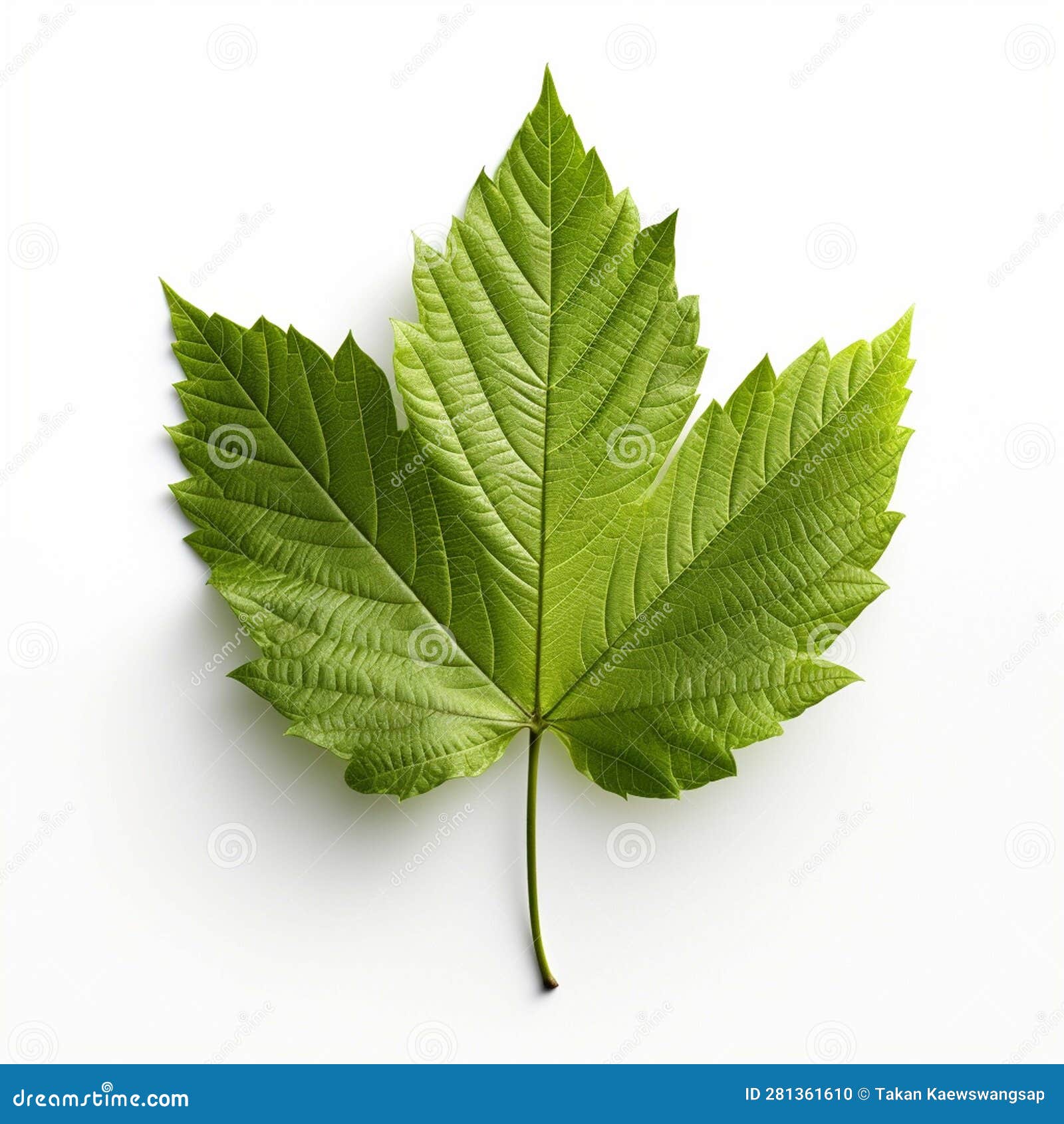 One Green Leaf Isolate ,white Background - Generative Ai Illustration ...