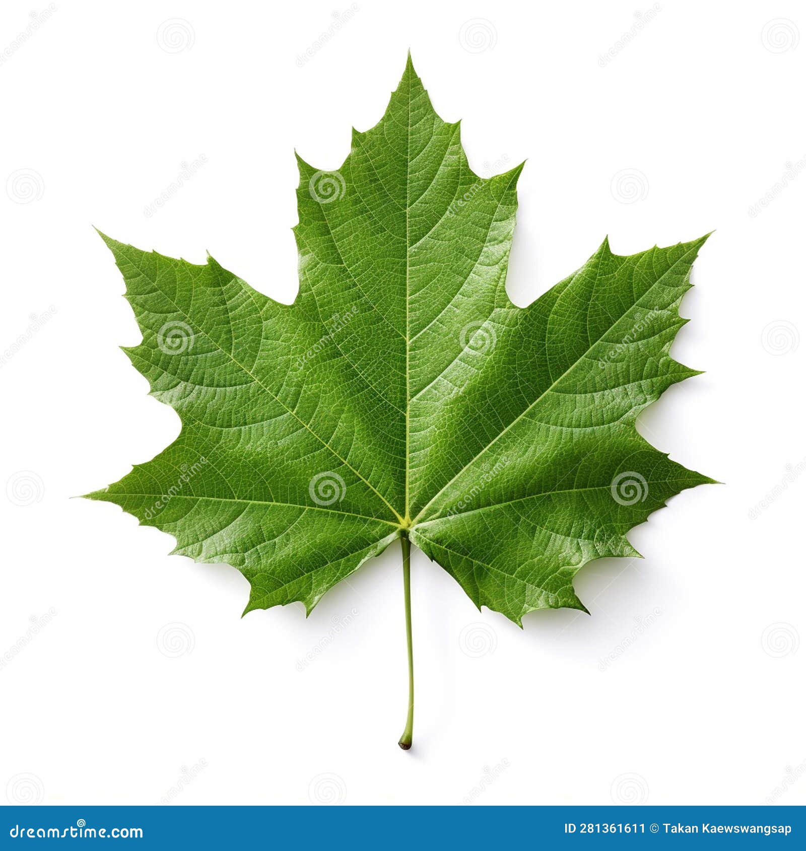 One Green Leaf Isolate ,white Background - Generative Ai Illustration ...