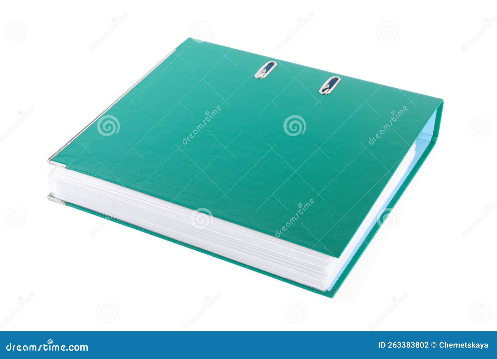 One Green Office Folder Isolated on White Stock Photo - Image of blank ...