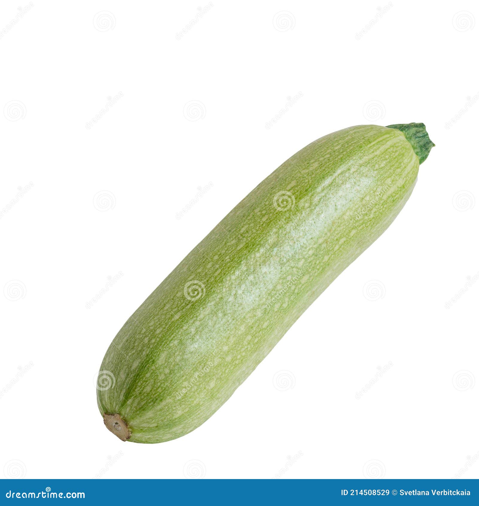 One Green Raw Zucchini Isolated on White Background Stock Image - Image ...