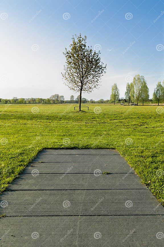 One green tree on blue sky stock image. Image of horizon - 101087559