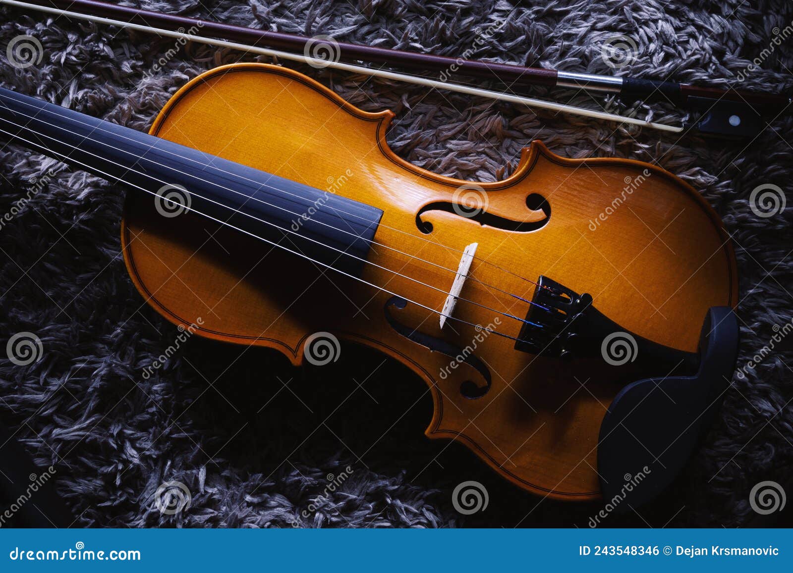 One Half Violin Details stock photo. Image of case, abstract - 243548346