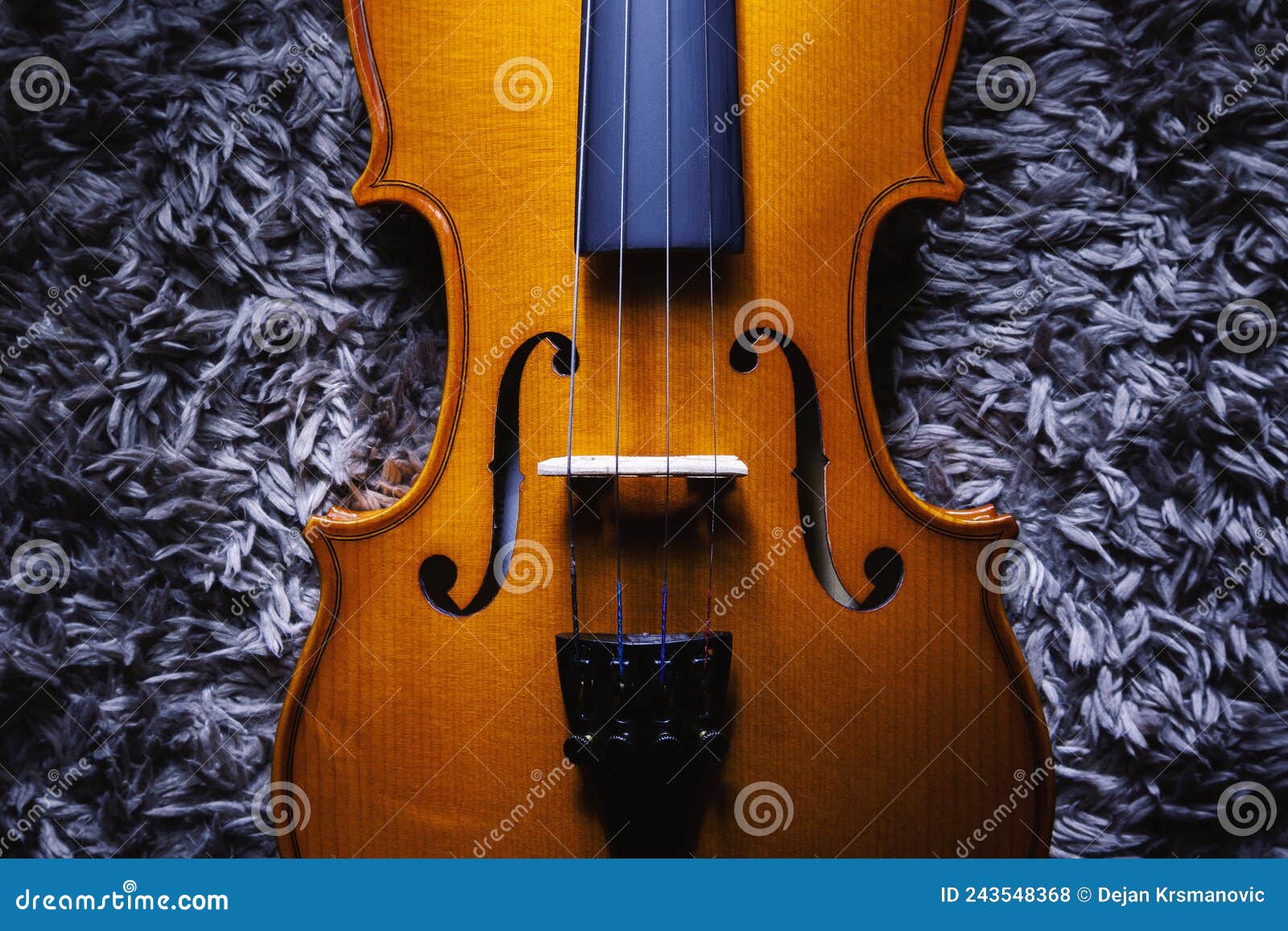 One Half Violin Details stock photo. Image of neck, carpet - 243548368