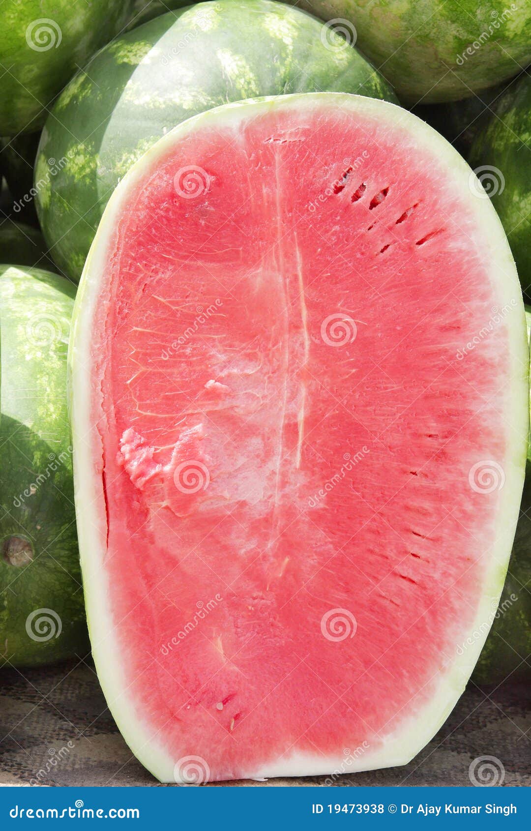Watermelon Inside Texture