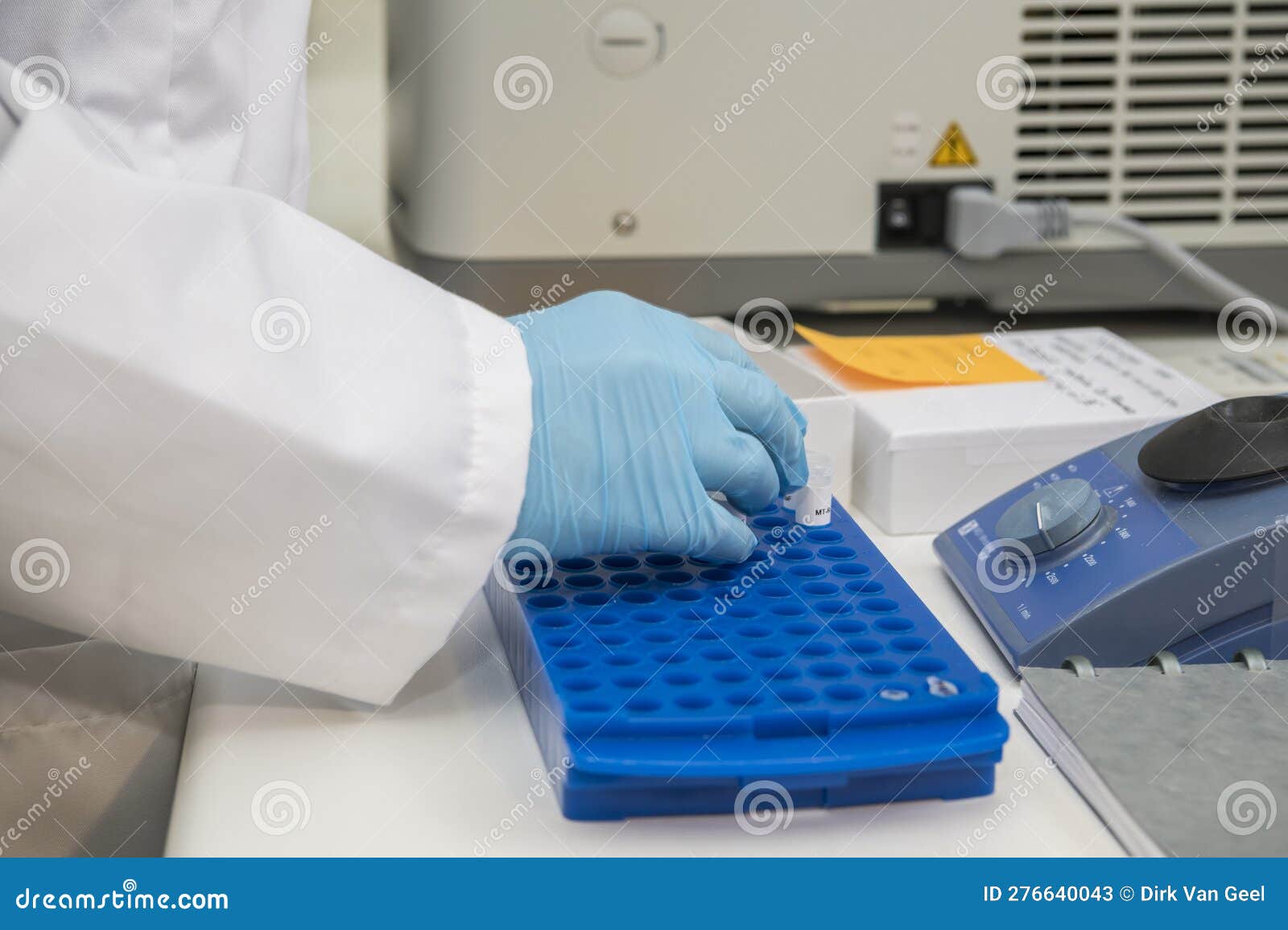 One Hand with Blue Nitril Gloves Arranging Plastic Eppendorf Tubes in a ...